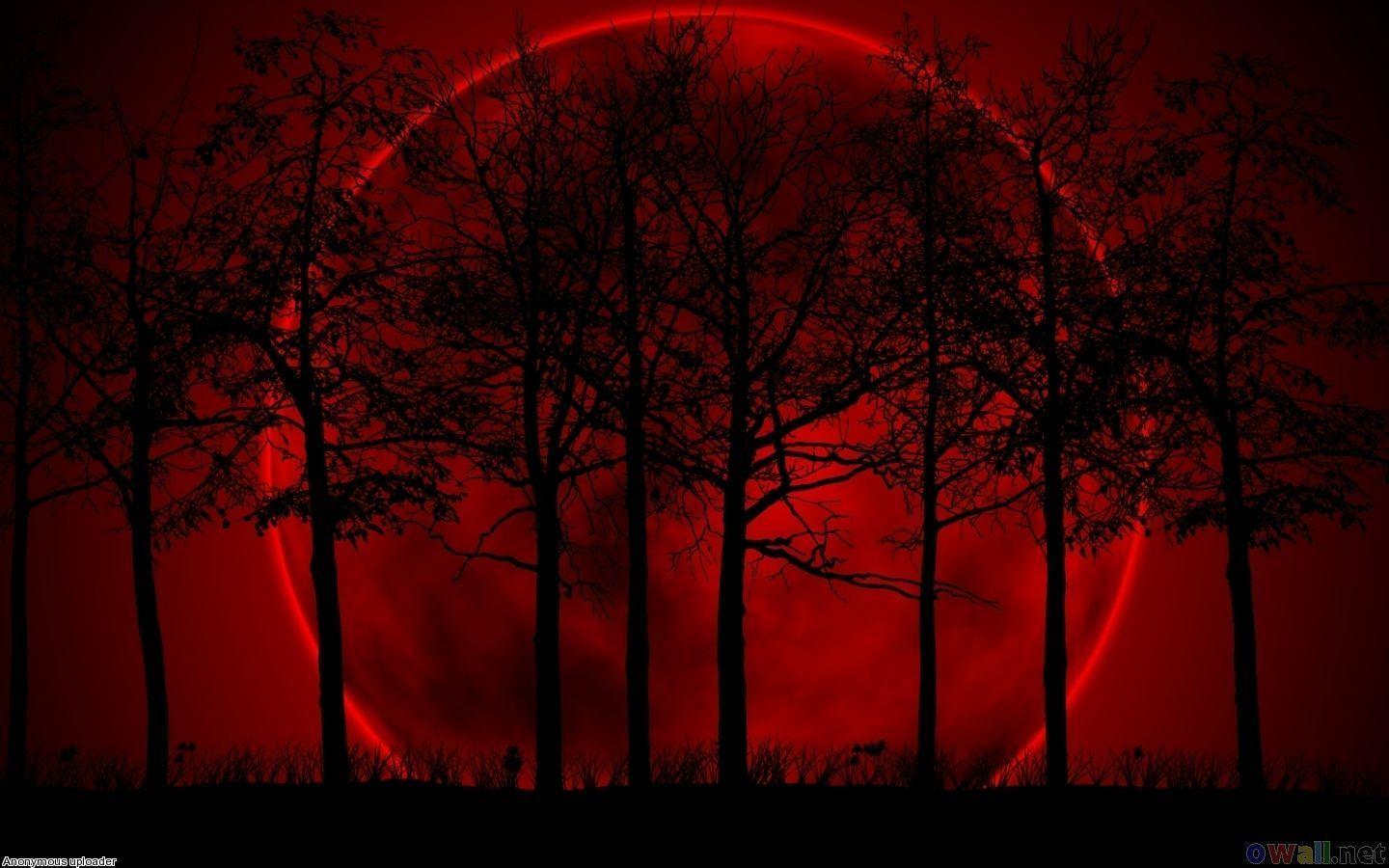 Red Moon Wallpapers - Top Free Red Moon Backgrounds - WallpaperAccess