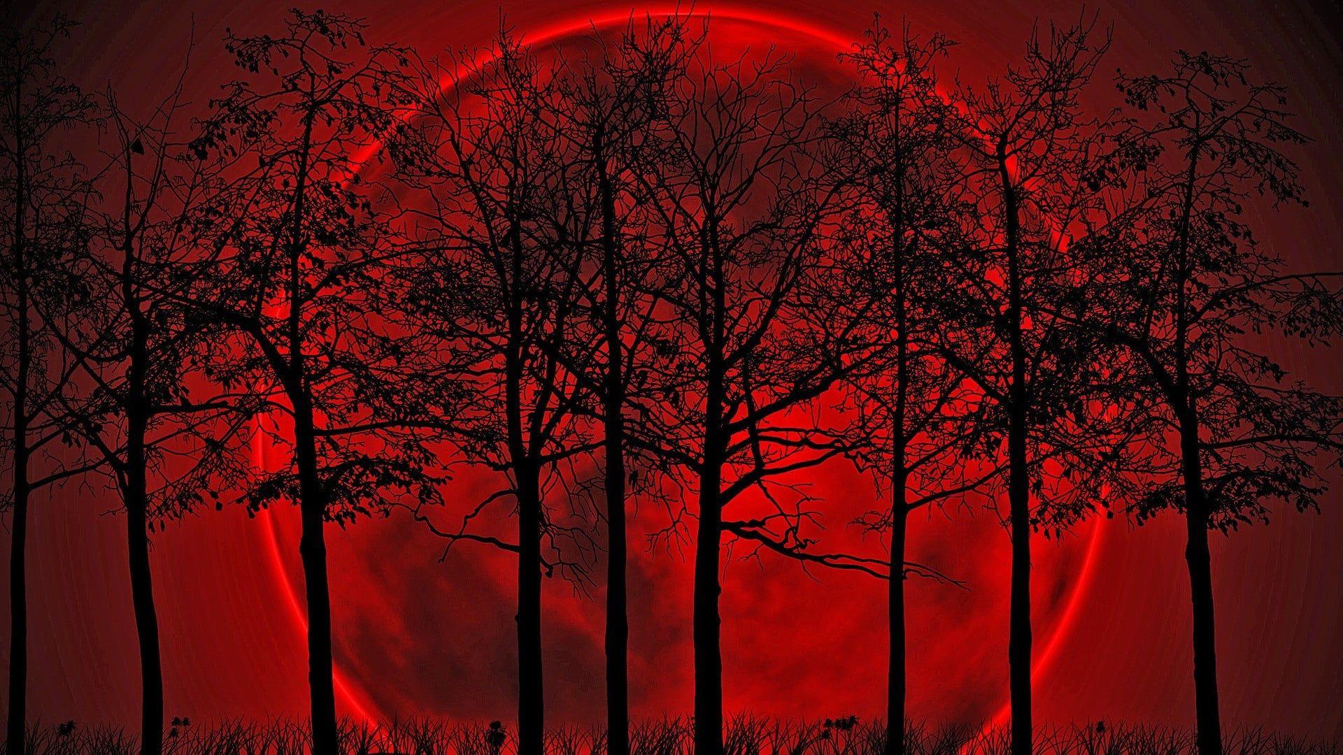 Red Moon Wallpapers - Top Free Red Moon Backgrounds - WallpaperAccess
