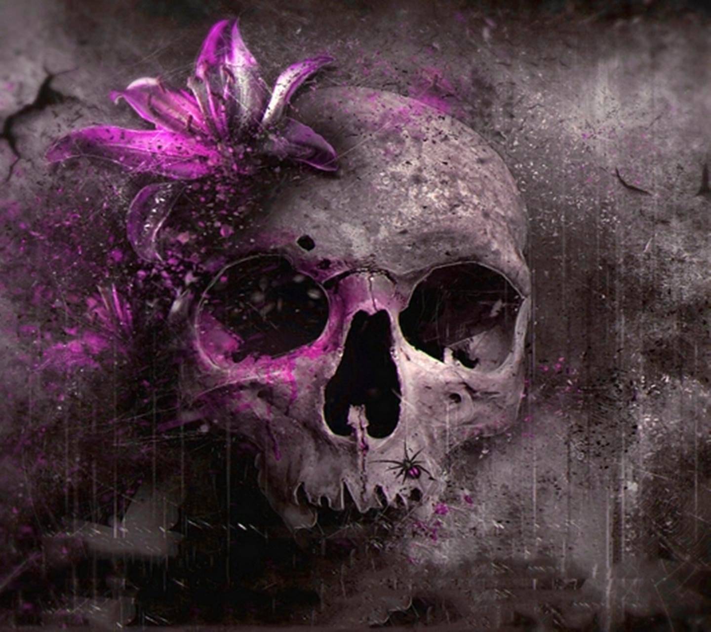 Pink Abstract Skull Wallpapers - Top Free Pink Abstract Skull ...