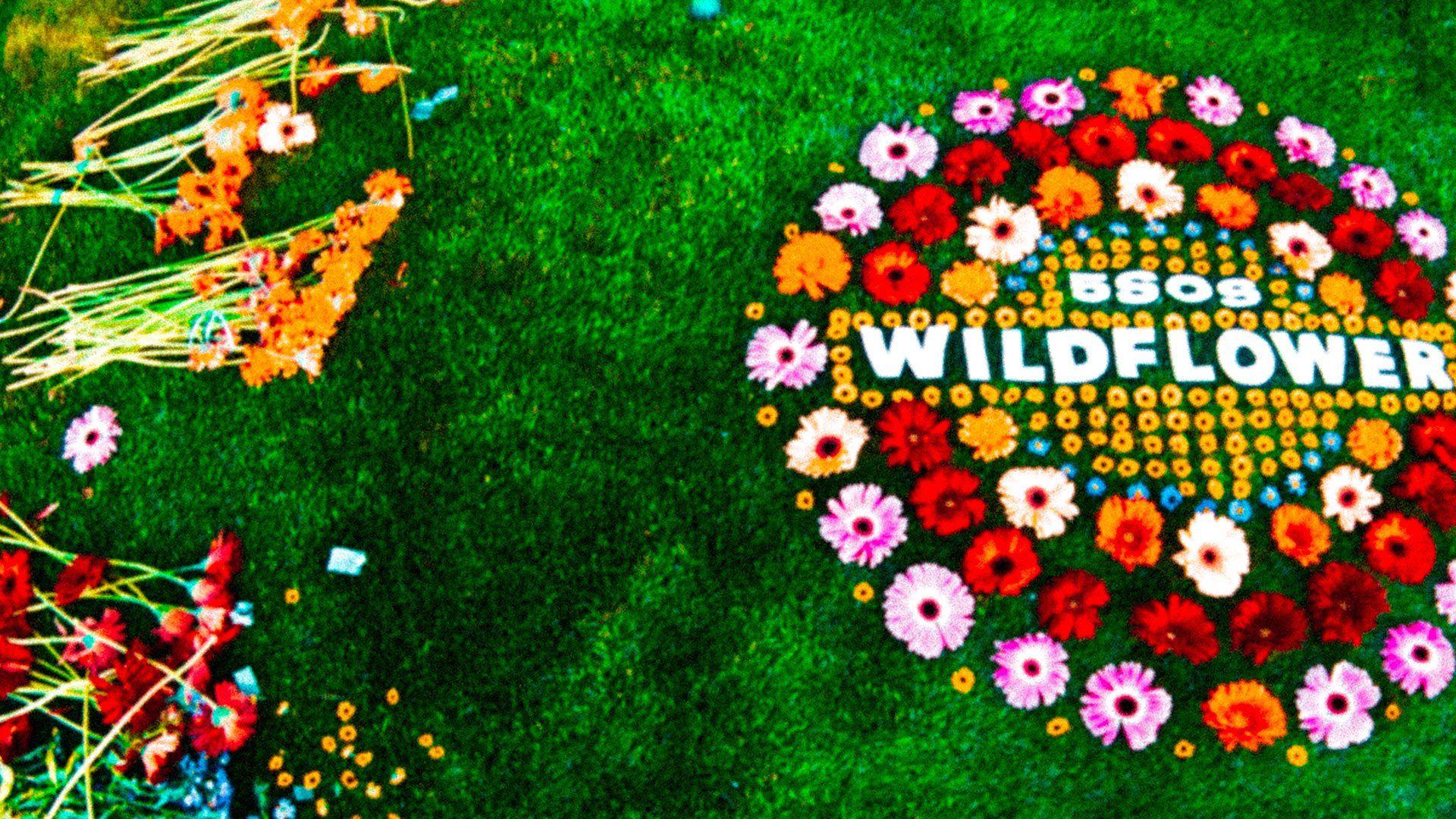 5SOS Desktop Wallpapers - Top Free 5SOS Desktop Backgrounds ...