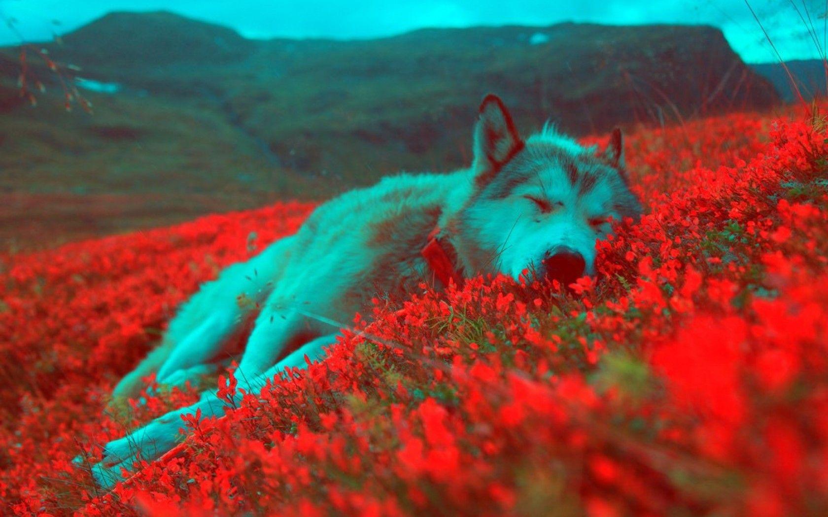 Chill Computer Wallpapers - Top Free Chill Computer Backgrounds ...