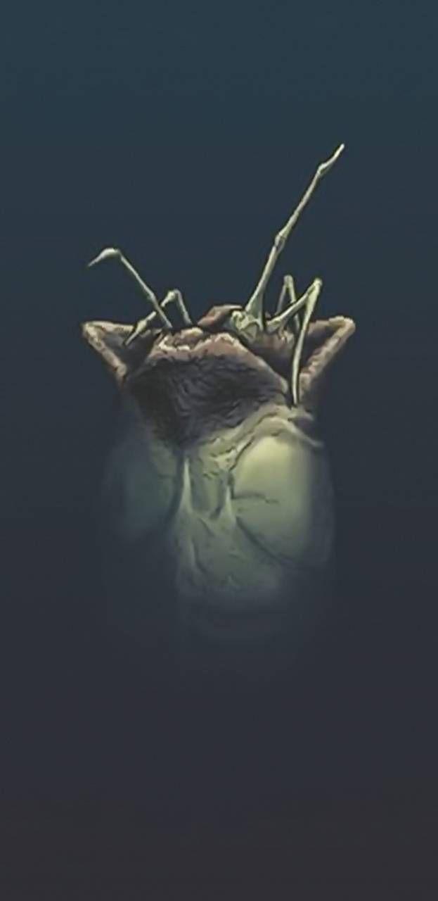 Alien Egg Wallpapers - Top Free Alien Egg Backgrounds - WallpaperAccess