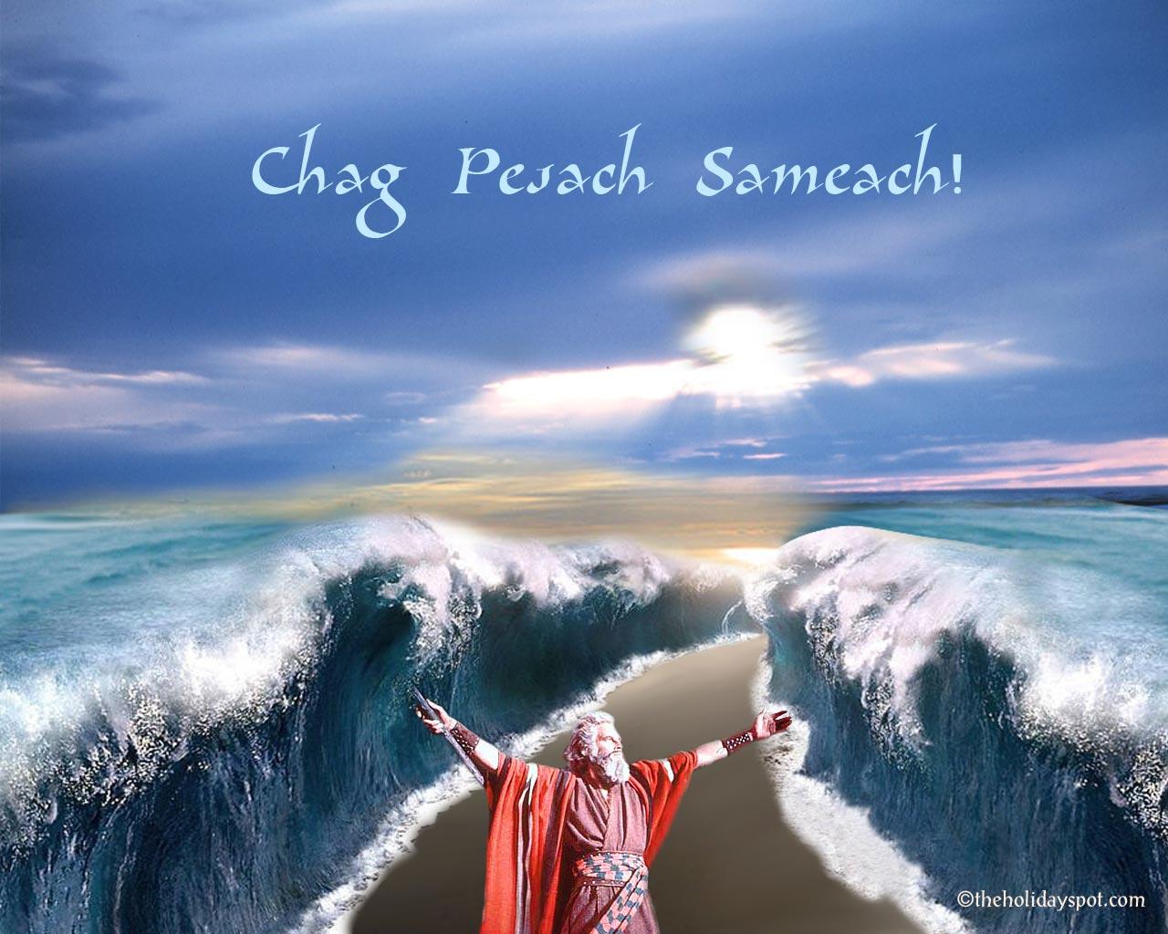 Passover Wallpapers - Top Free Passover Backgrounds - WallpaperAccess