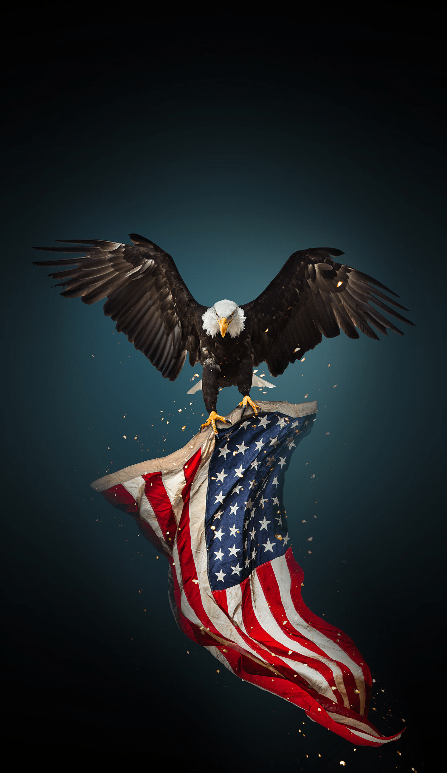 Bald Eagle Flag Wallpapers - Top Free Bald Eagle Flag Backgrounds ...