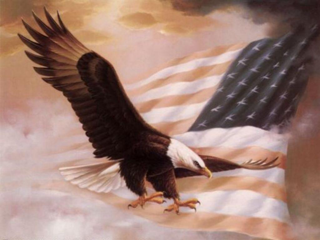 Bald Eagle Flag Wallpapers - Top Free Bald Eagle Flag Backgrounds ...