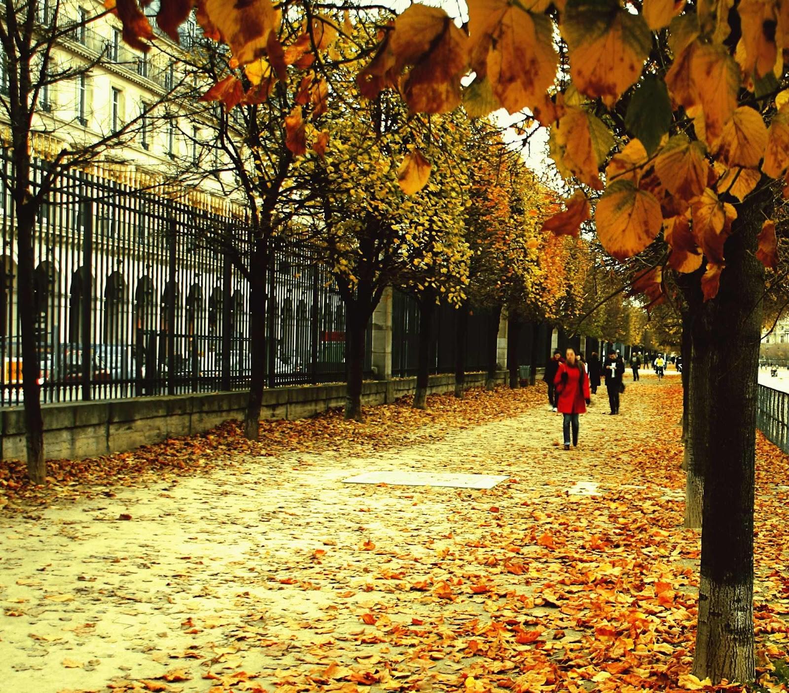 Paris Autumn Wallpapers - Top Free Paris Autumn Backgrounds ...