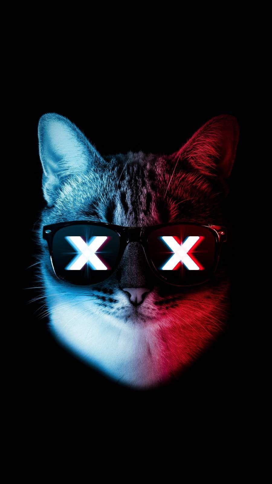 Neon Cat HD Wallpapers - Top Free Neon Cat HD Backgrounds - WallpaperAccess