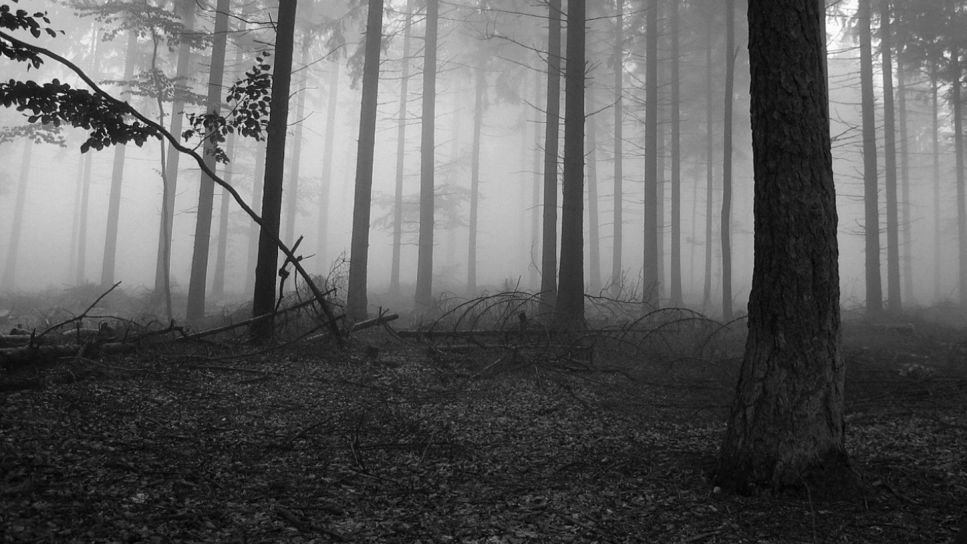 Creepy Black and White Wallpapers - Top Free Creepy Black and White ...