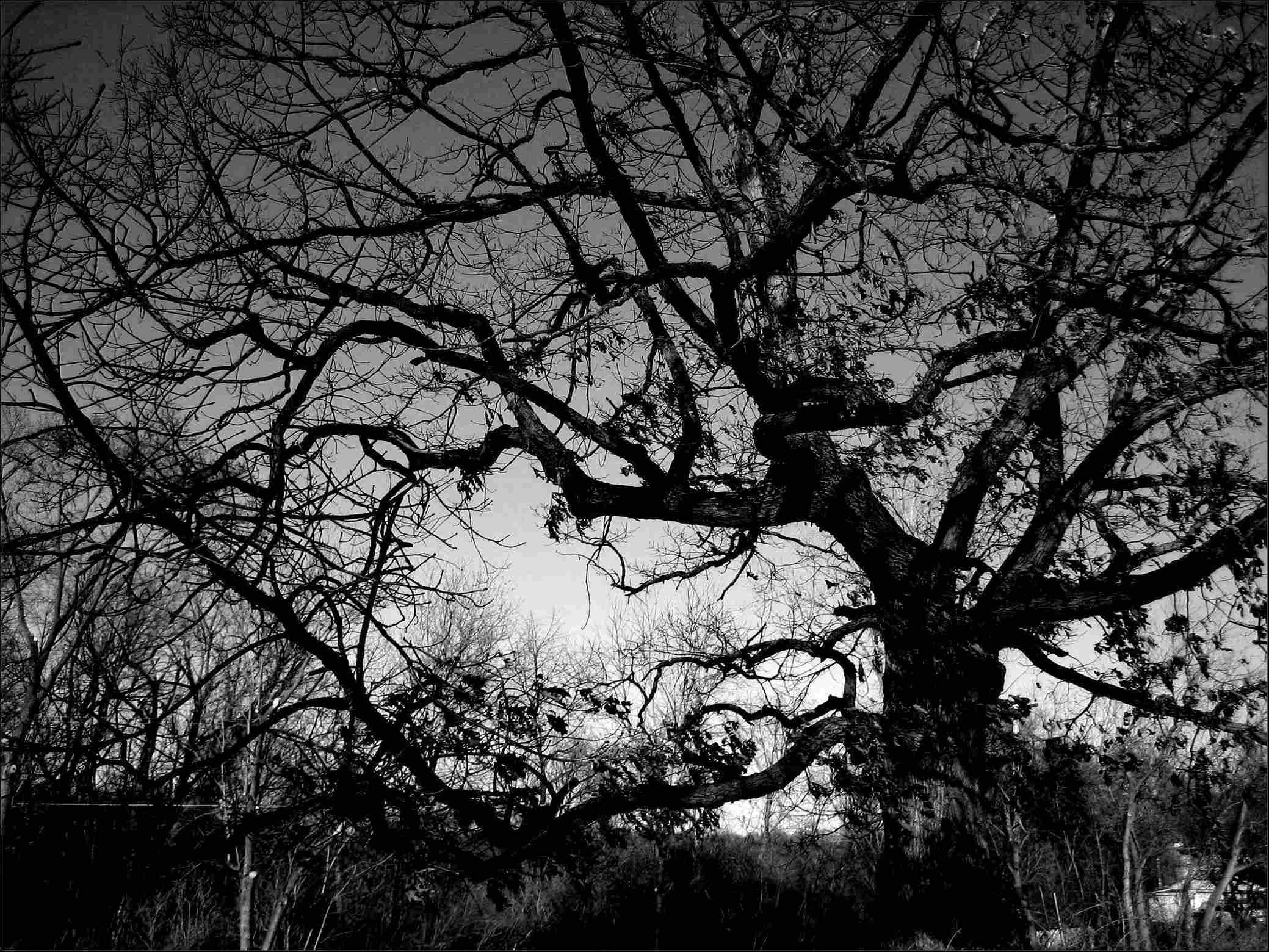 Tim Burton Laptop Wallpapers - Top Free Tim Burton Laptop Backgrounds ...