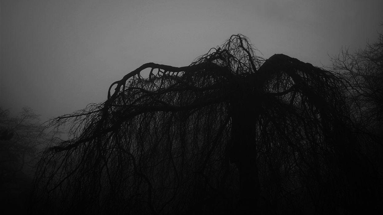 Dark Fog Wallpapers - Top Free Dark Fog Backgrounds - WallpaperAccess