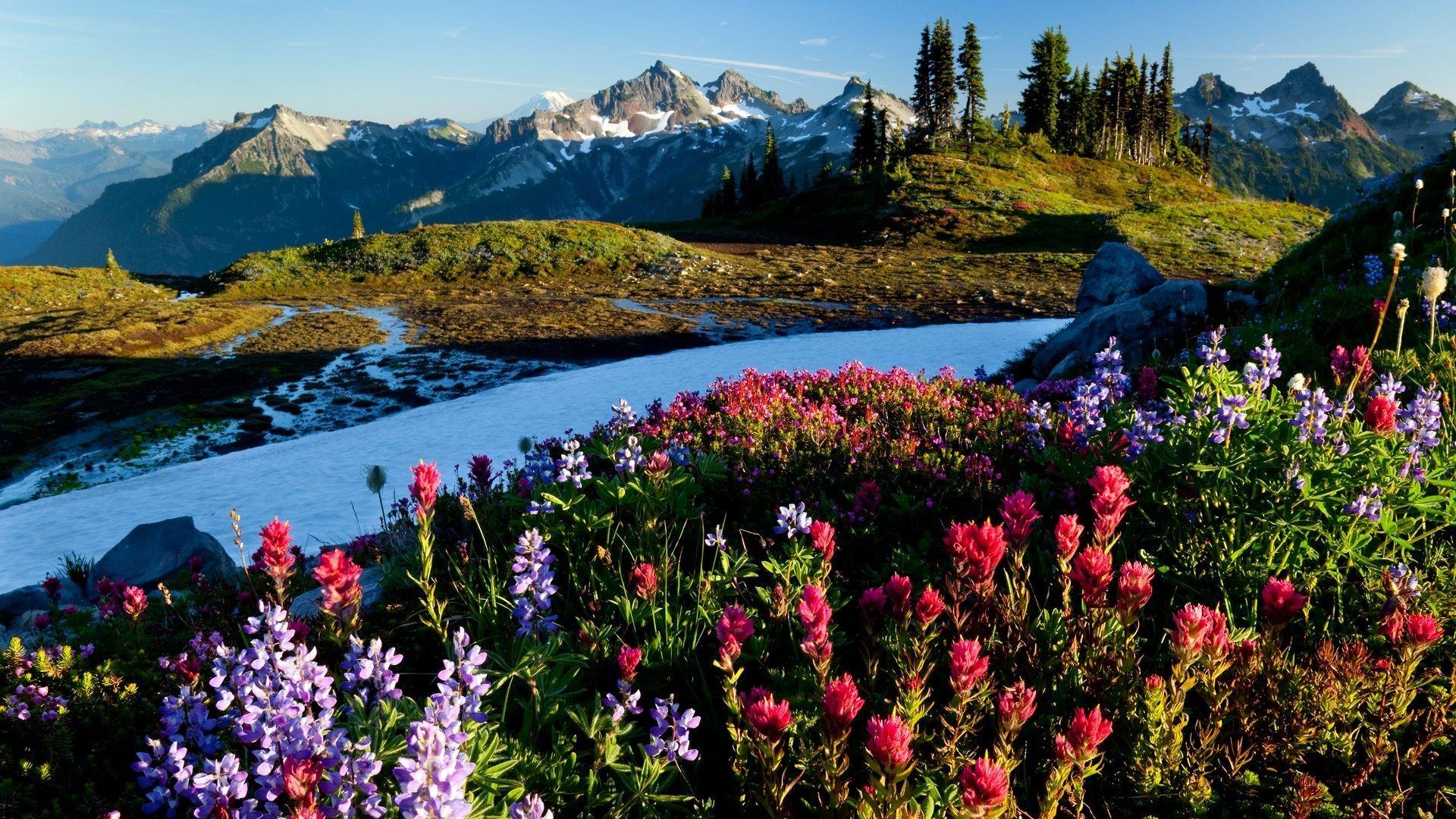 Scenic Spring Wallpapers - Top Free Scenic Spring Backgrounds ...