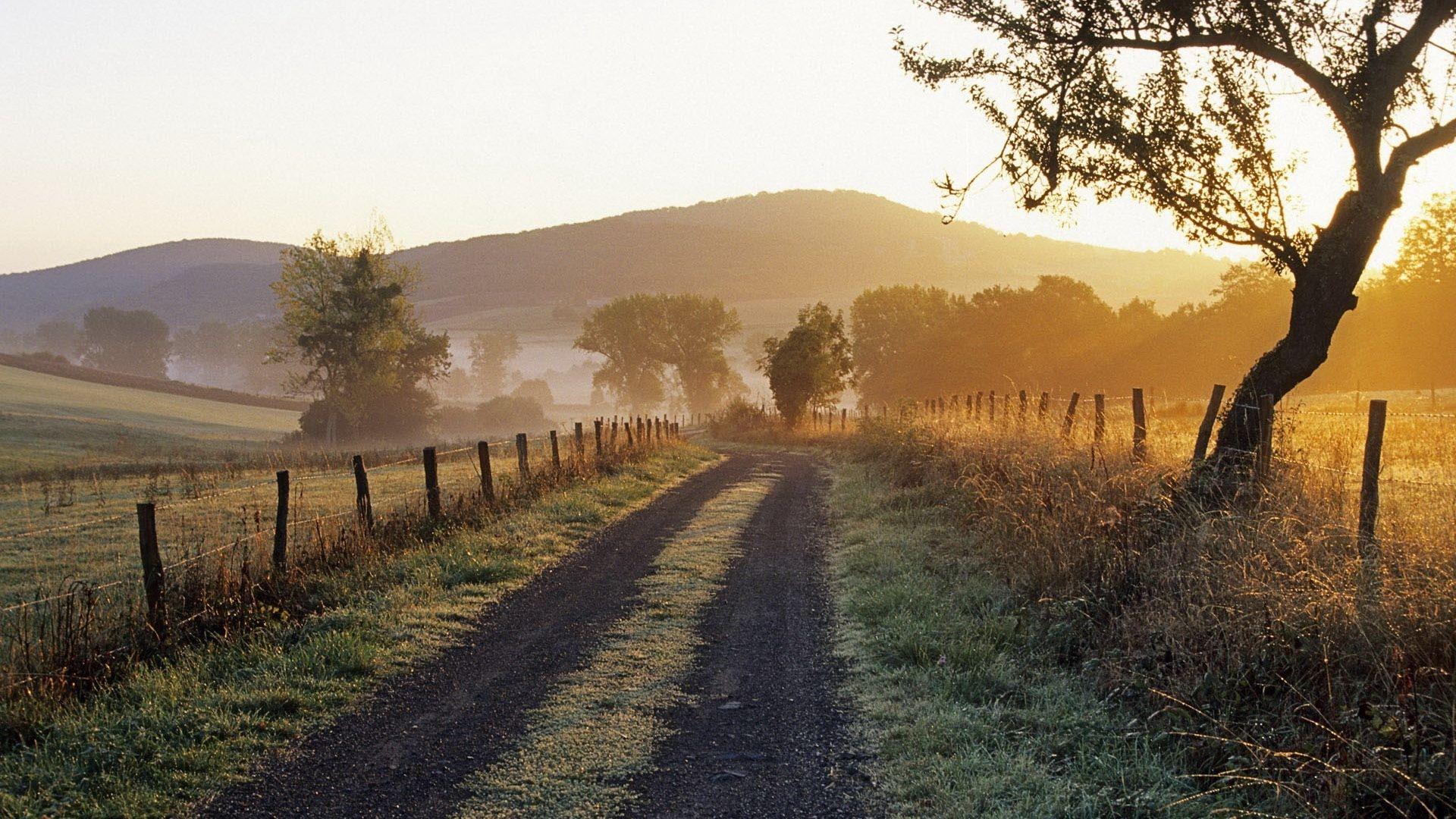 Summer Trees Wallpapers - Top Free Summer Trees Backgrounds ...