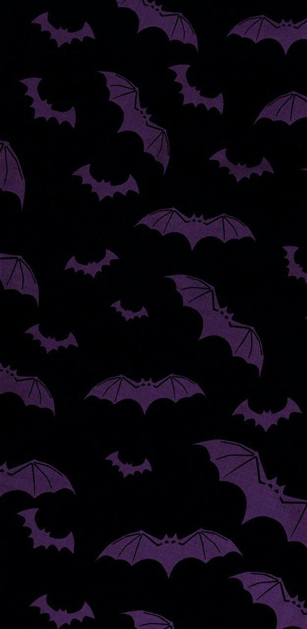Cute Bat Wallpapers - Top Free Cute Bat Backgrounds - WallpaperAccess