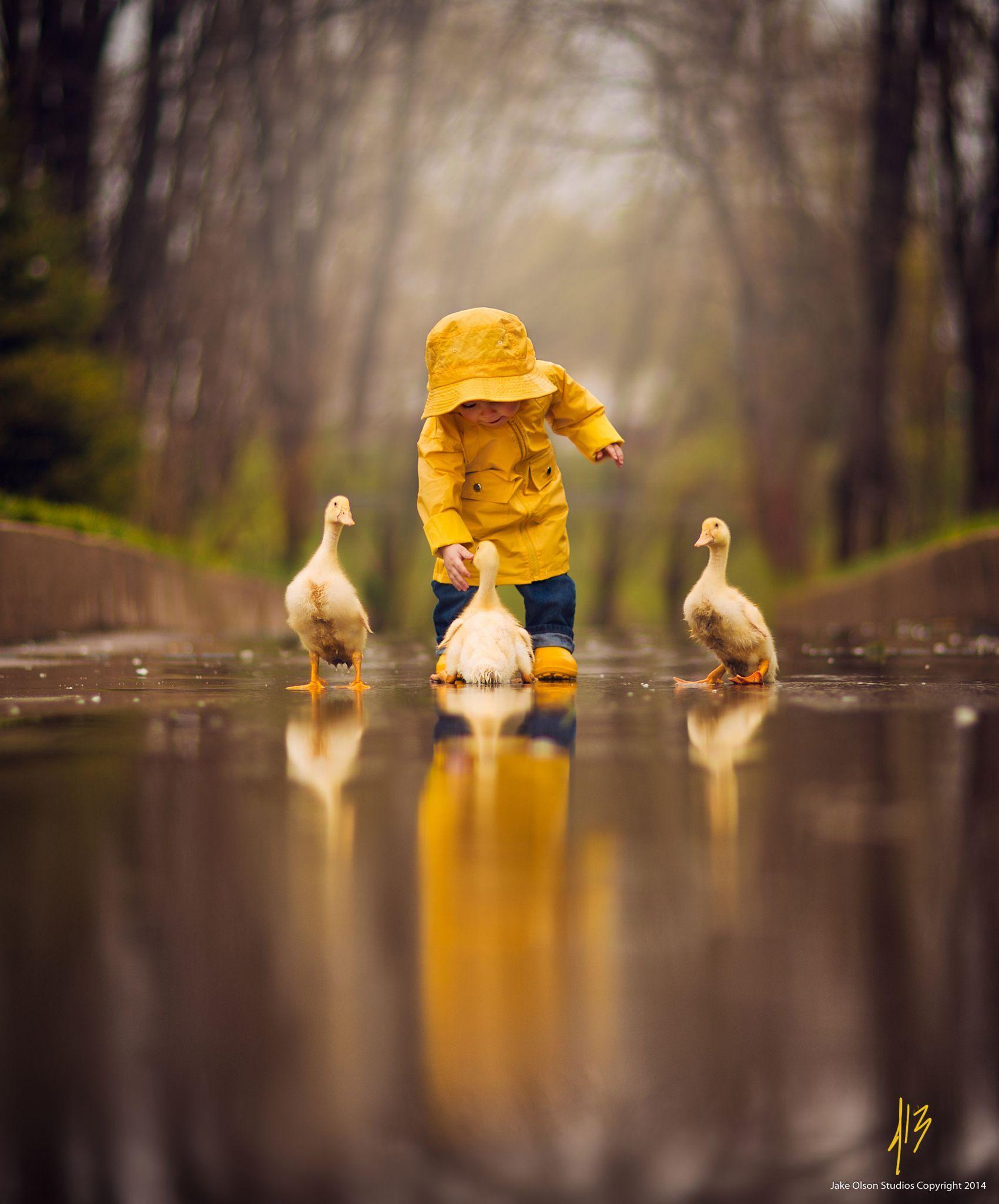 Animals Rain Wallpapers - Top Free Animals Rain Backgrounds ...