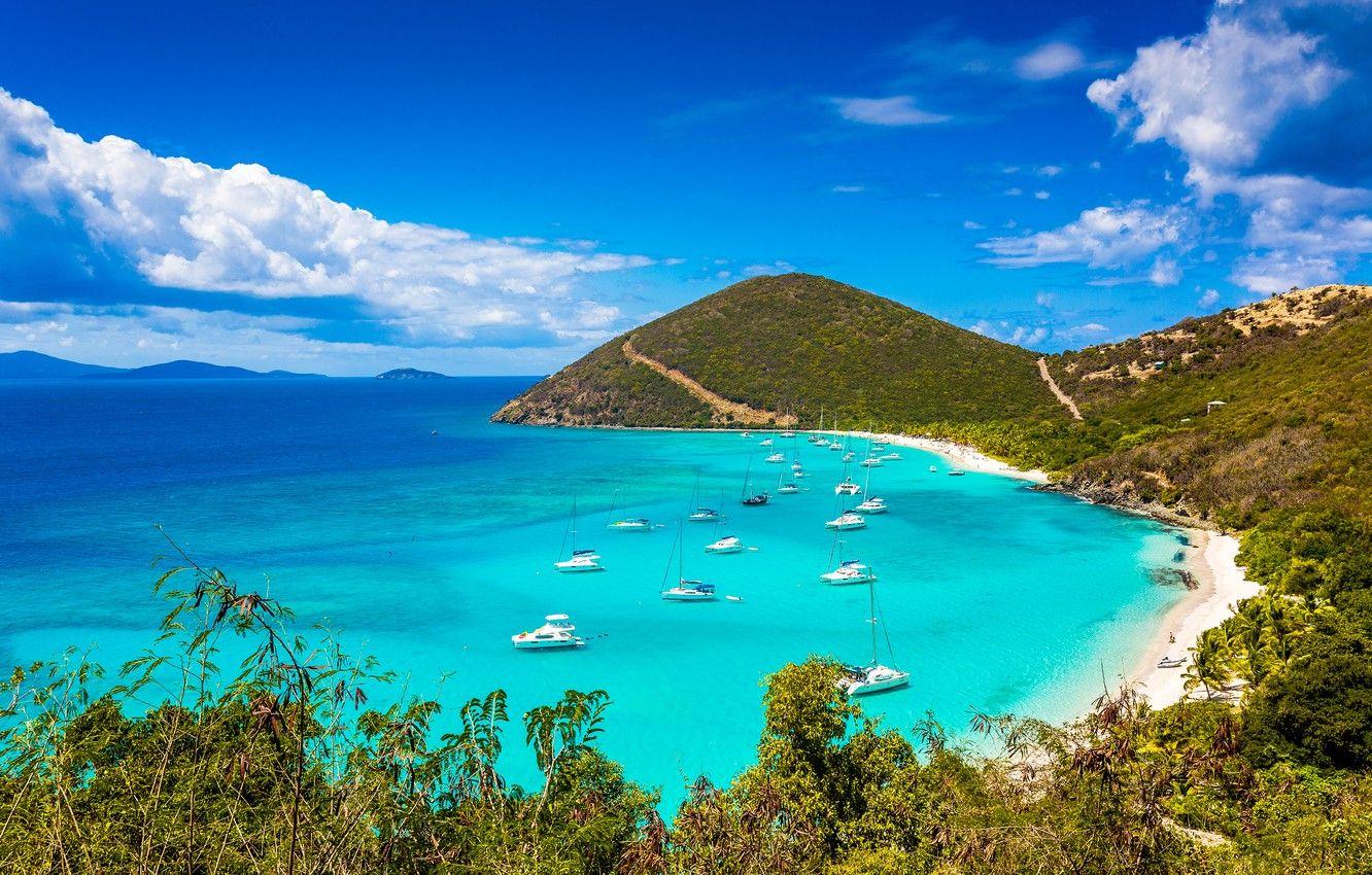 Jungle Beach Wallpapers - Top Free Jungle Beach Backgrounds ...