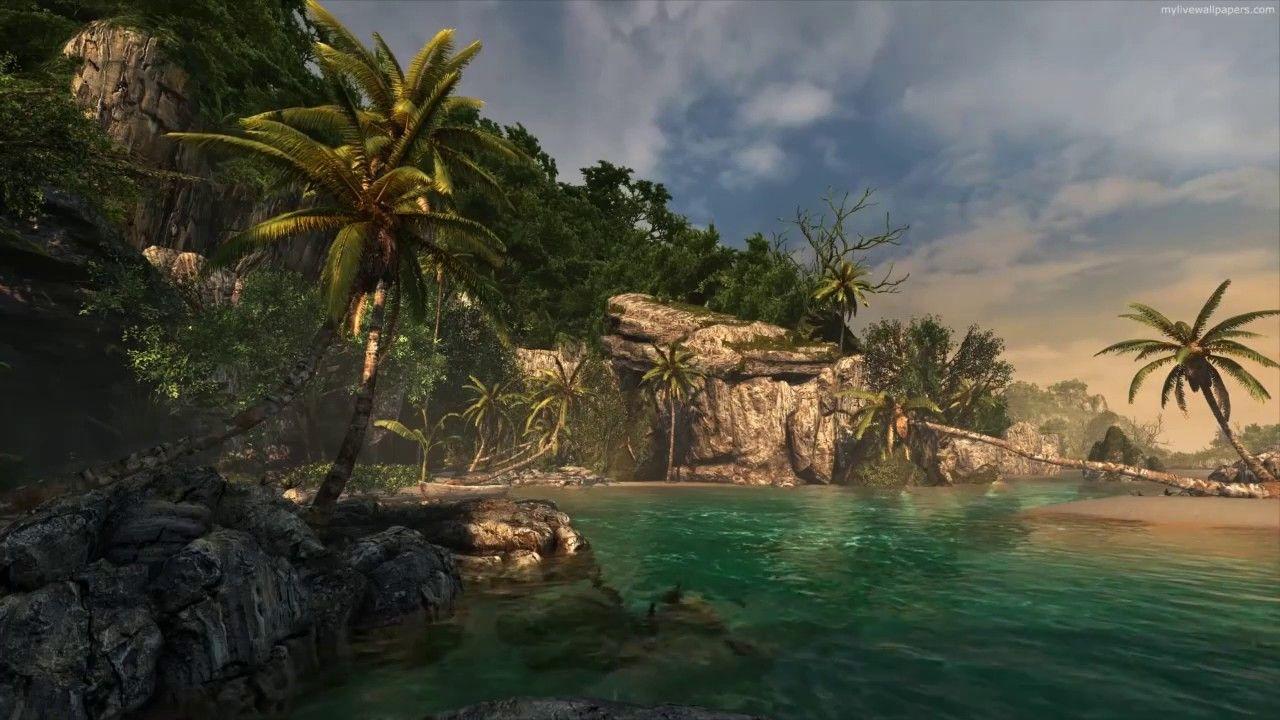 Jungle Beach Wallpapers - Top Free Jungle Beach Backgrounds ...