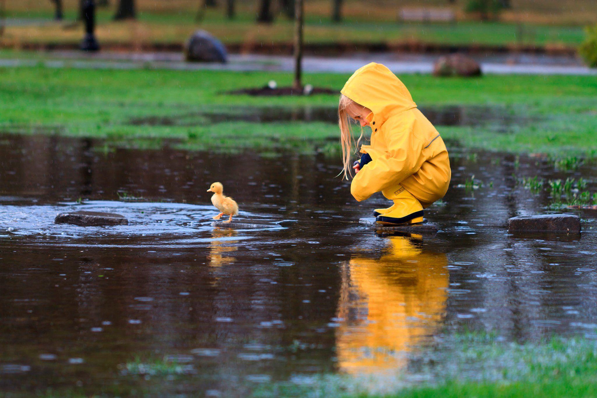 Animals Rain Wallpapers - Top Free Animals Rain Backgrounds ...