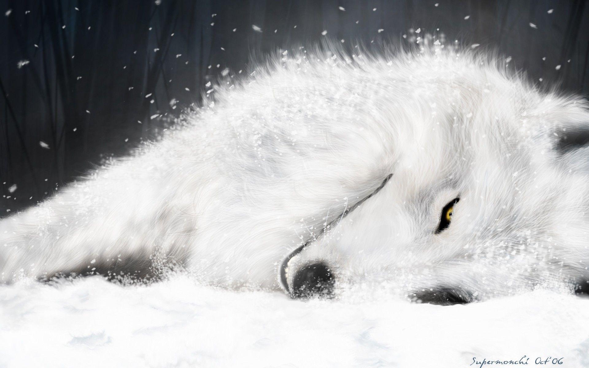 Wolf's Rain Wallpapers - Top Free Wolf's Rain Backgrounds - WallpaperAccess