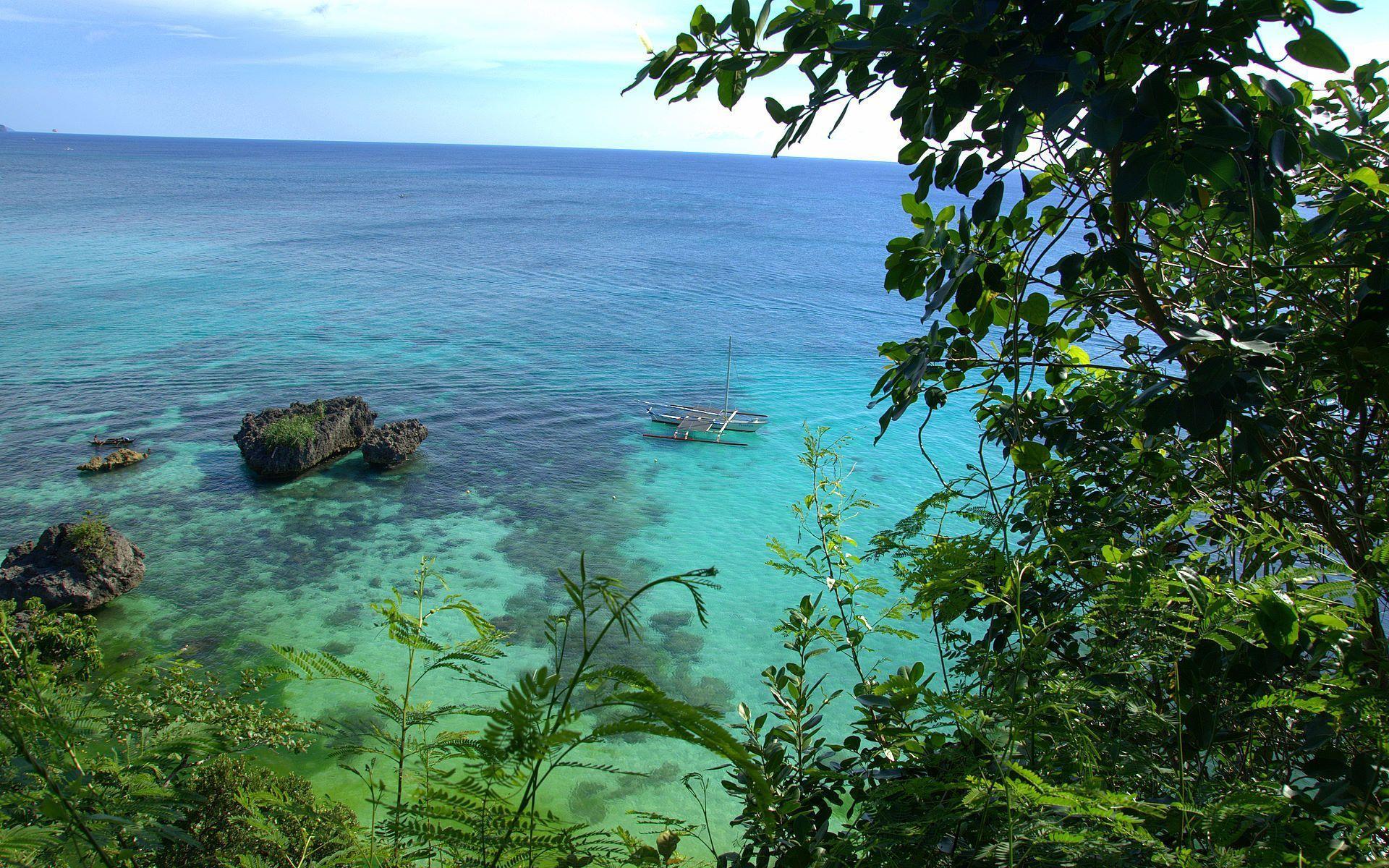 Jungle Beach Wallpapers - Top Free Jungle Beach Backgrounds ...