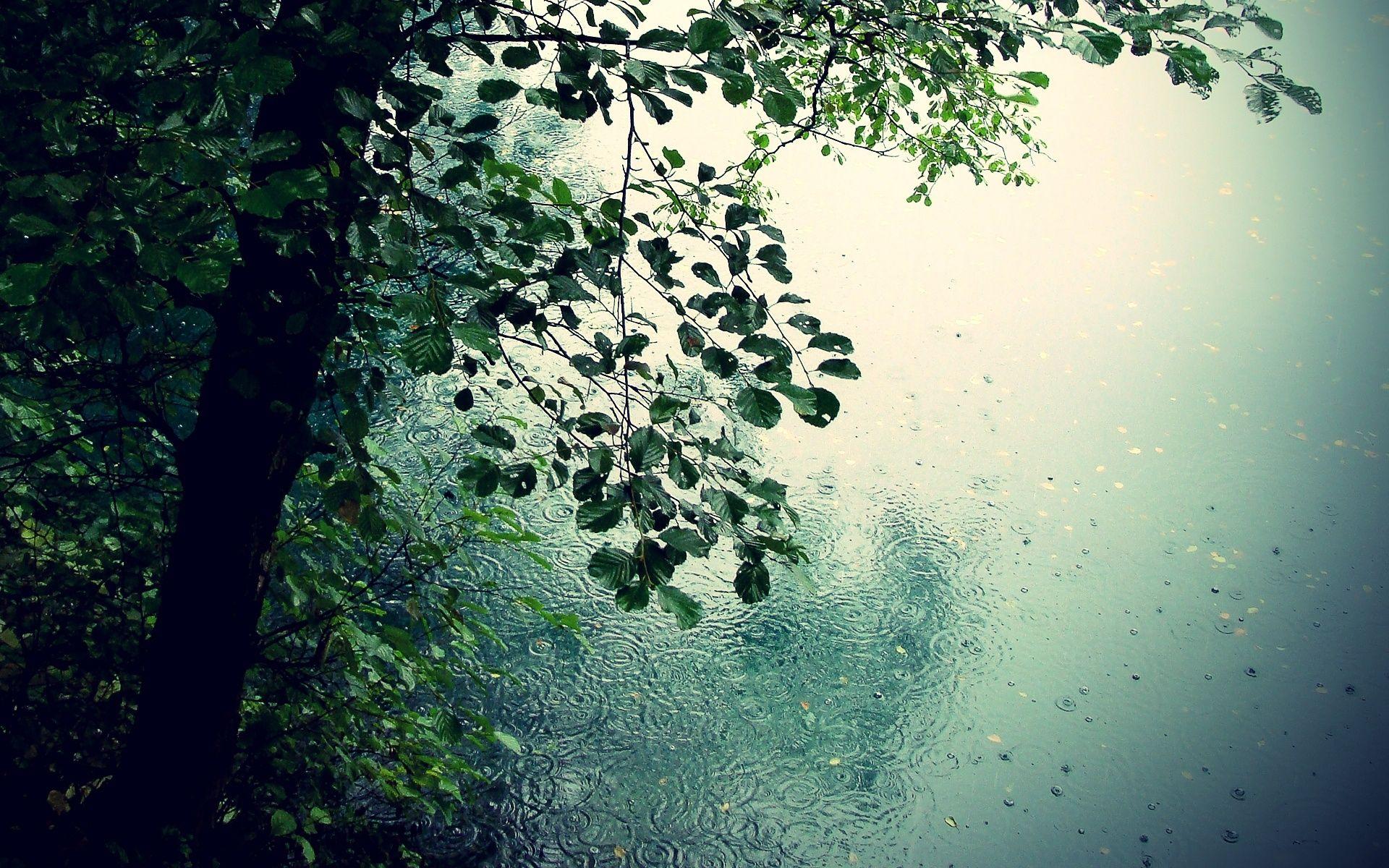 Country Rain Wallpapers - Top Free Country Rain Backgrounds ...
