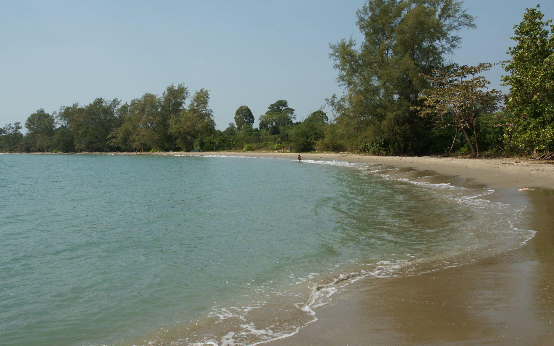 Jungle Beach Wallpapers - Top Free Jungle Beach Backgrounds ...