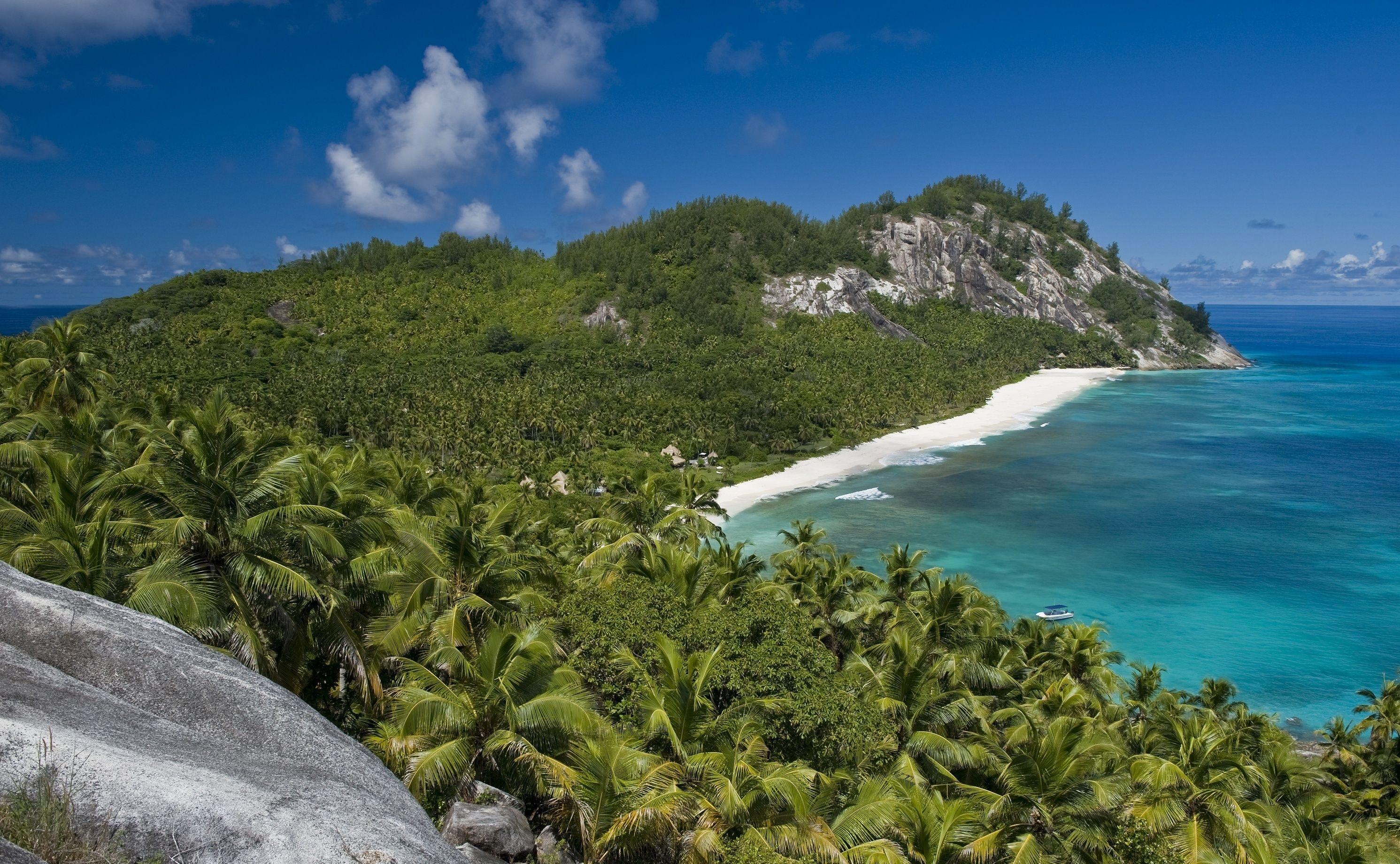 Jungle Beach Wallpapers - Top Free Jungle Beach Backgrounds ...