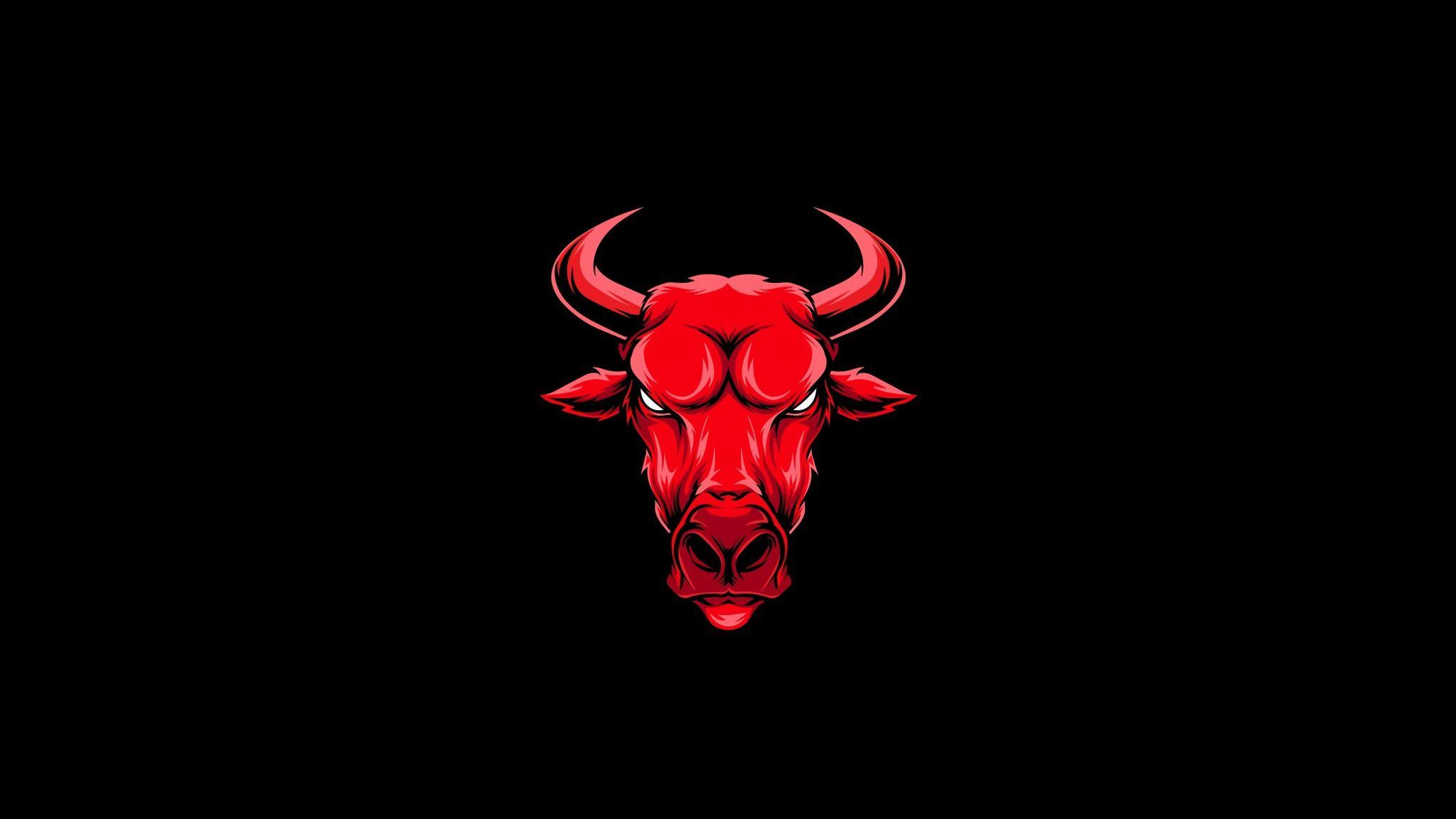 4K Red Bull Wallpapers - Top Free 4K Red Bull Backgrounds - WallpaperAccess