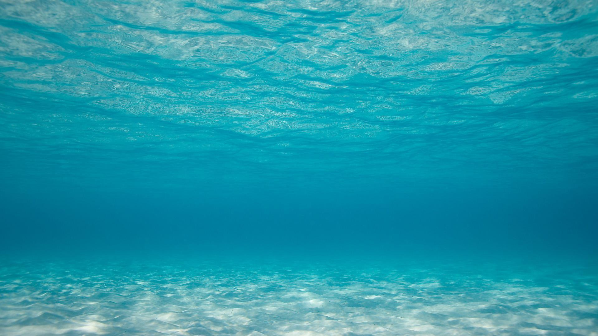 1920X1080 Underwater Wallpapers - Top Free 1920X1080 Underwater ...