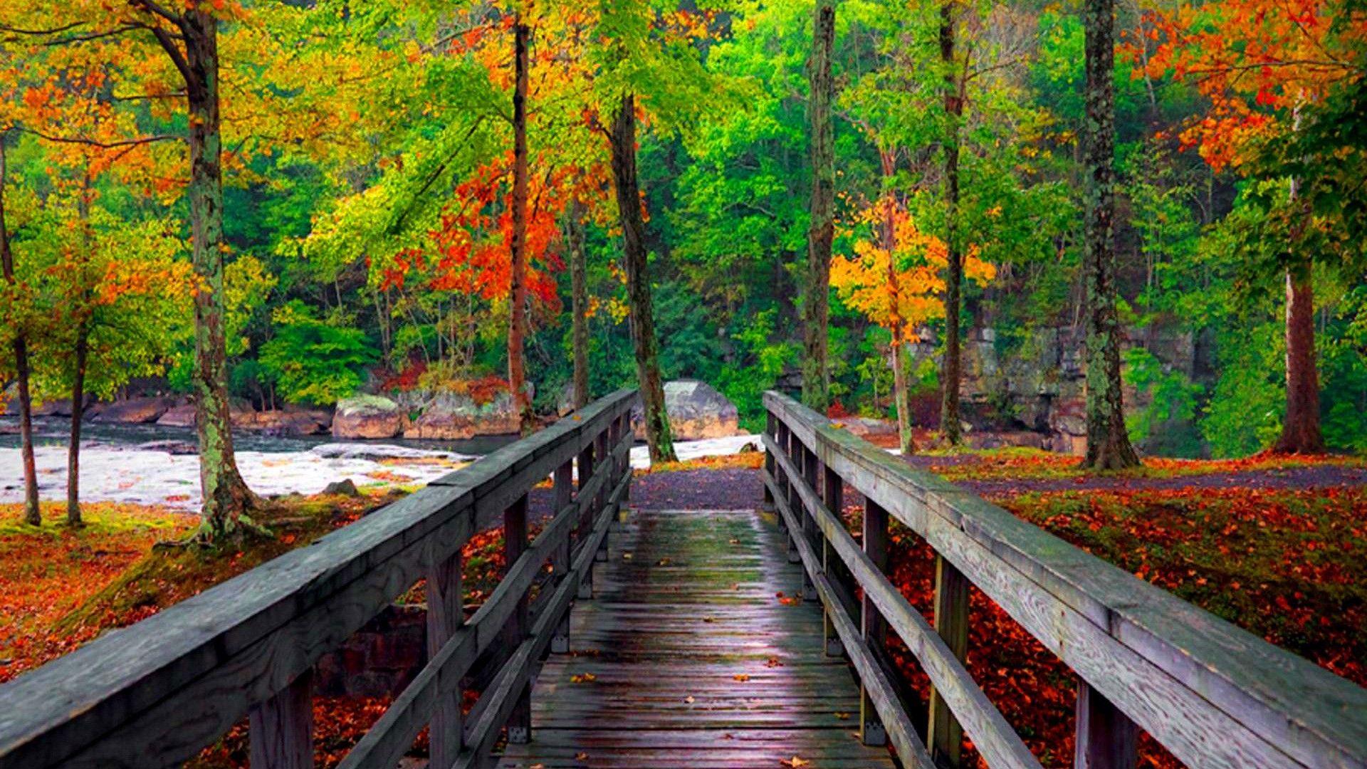 16k Nature Wallpapers - Top Free 16k Nature Backgrounds - WallpaperAccess