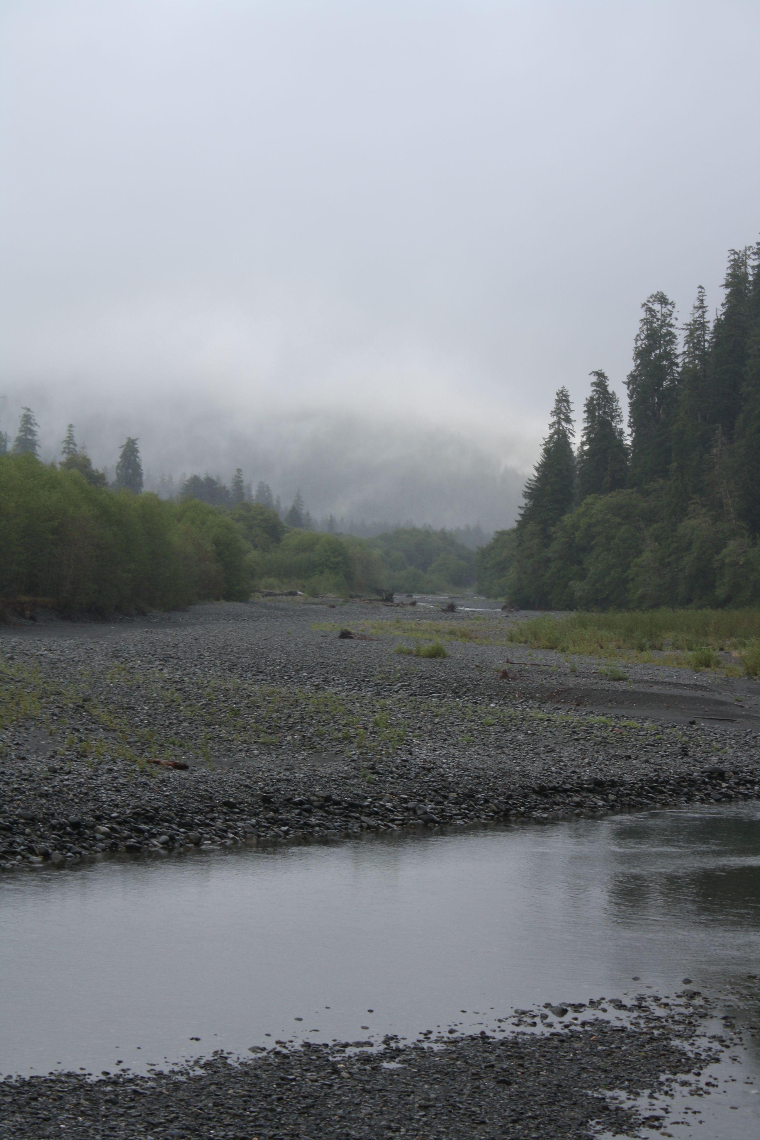 Forks Washington Wallpapers - Top Free Forks Washington Backgrounds ...