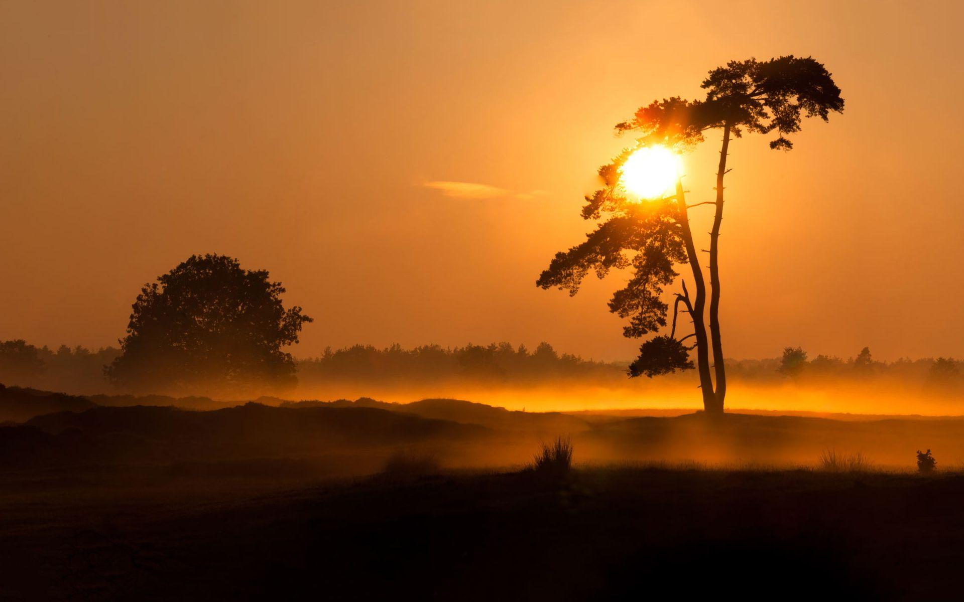 Santorini Sunset Greece Wallpapers - Top Free Santorini Sunset Greece ...