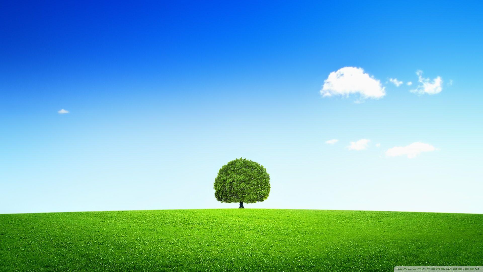 Financial Freedom Wallpapers - Top Free Financial Freedom Backgrounds ...