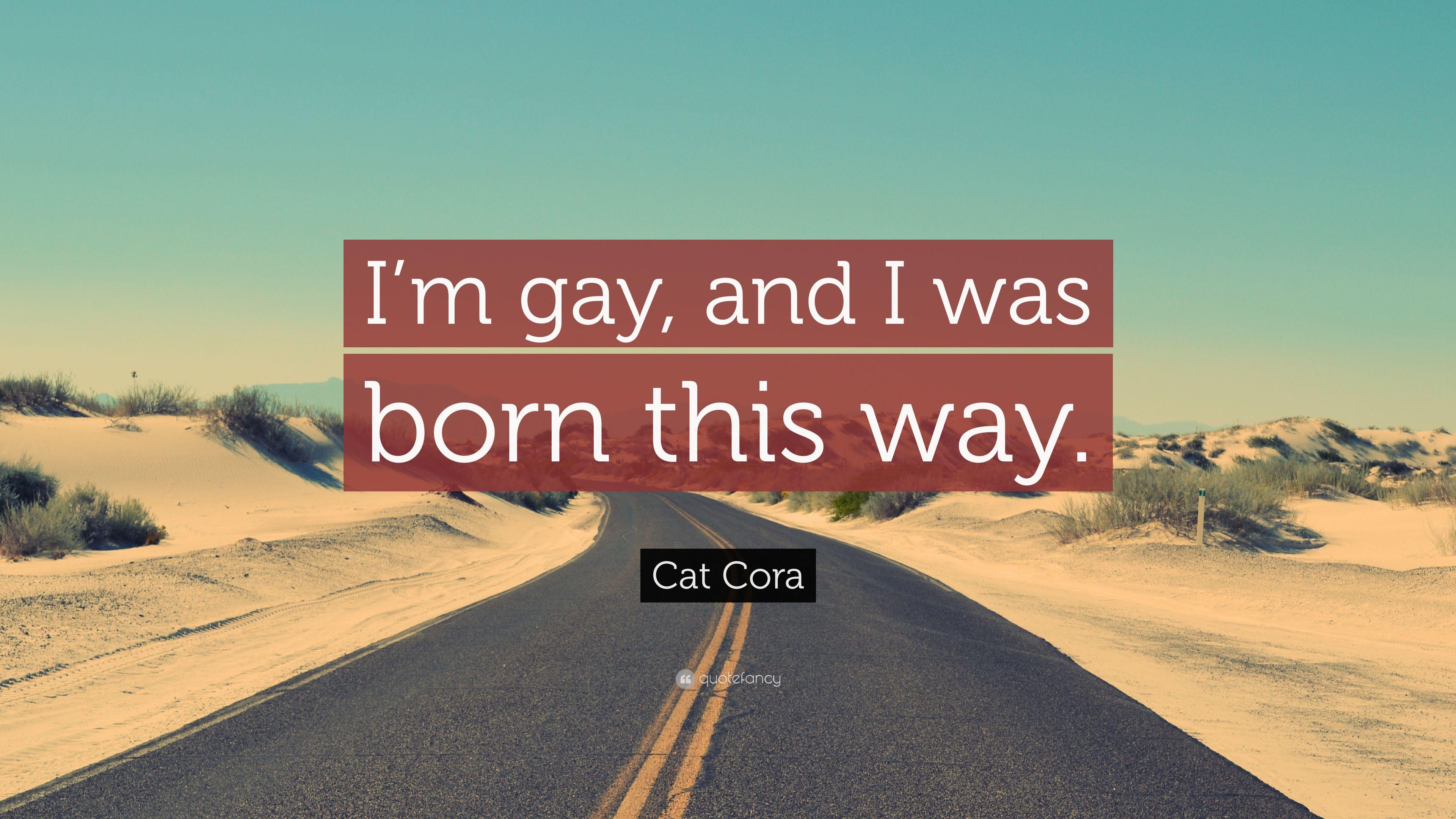 I'm Gay Wallpapers - Top Free I'm Gay Backgrounds - WallpaperAccess