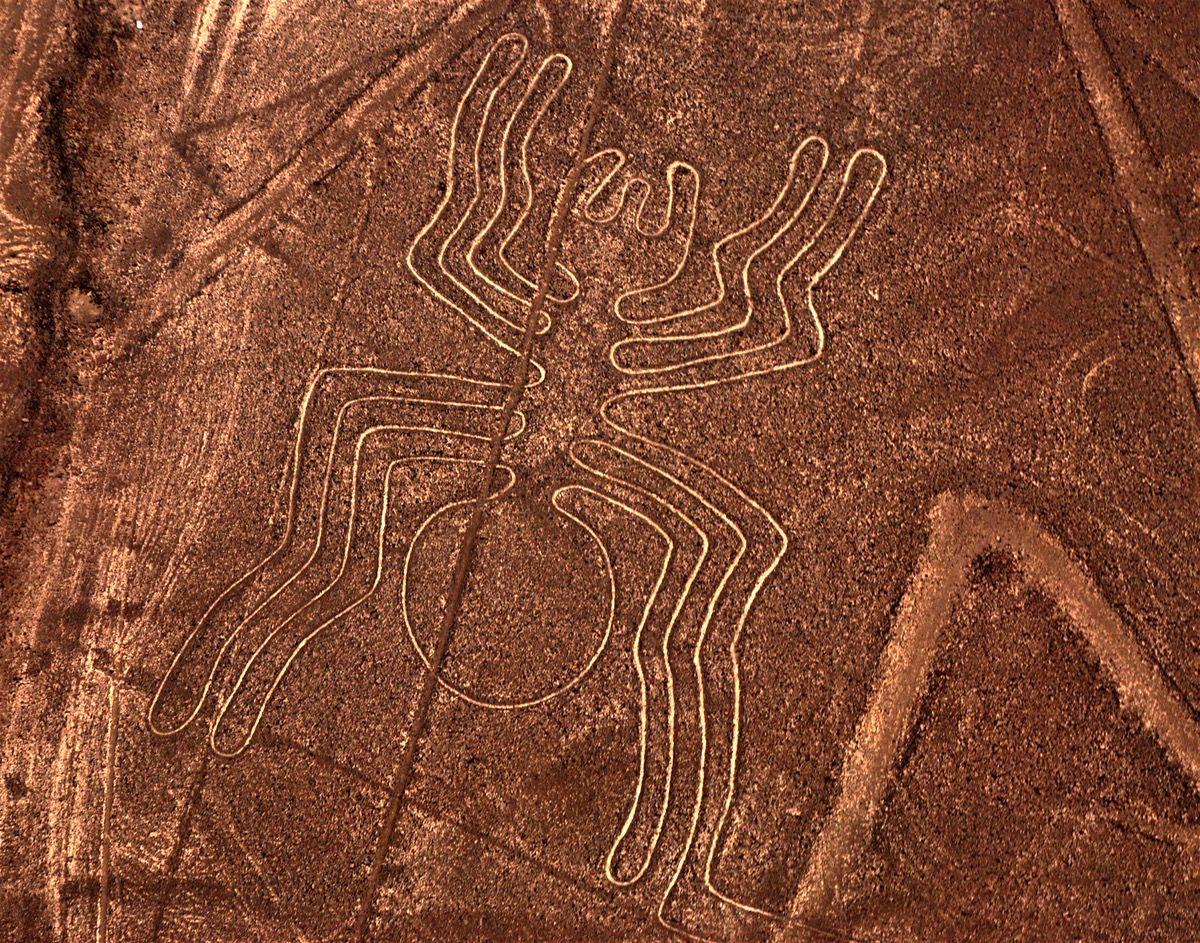 Nazca Wallpapers - Top Free Nazca Backgrounds - WallpaperAccess
