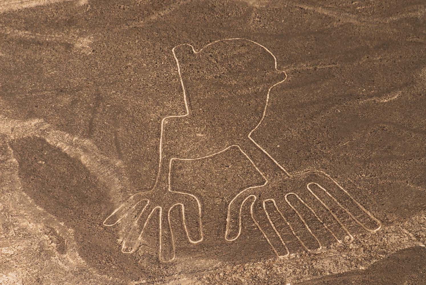 Nazca Wallpapers - Top Free Nazca Backgrounds - WallpaperAccess