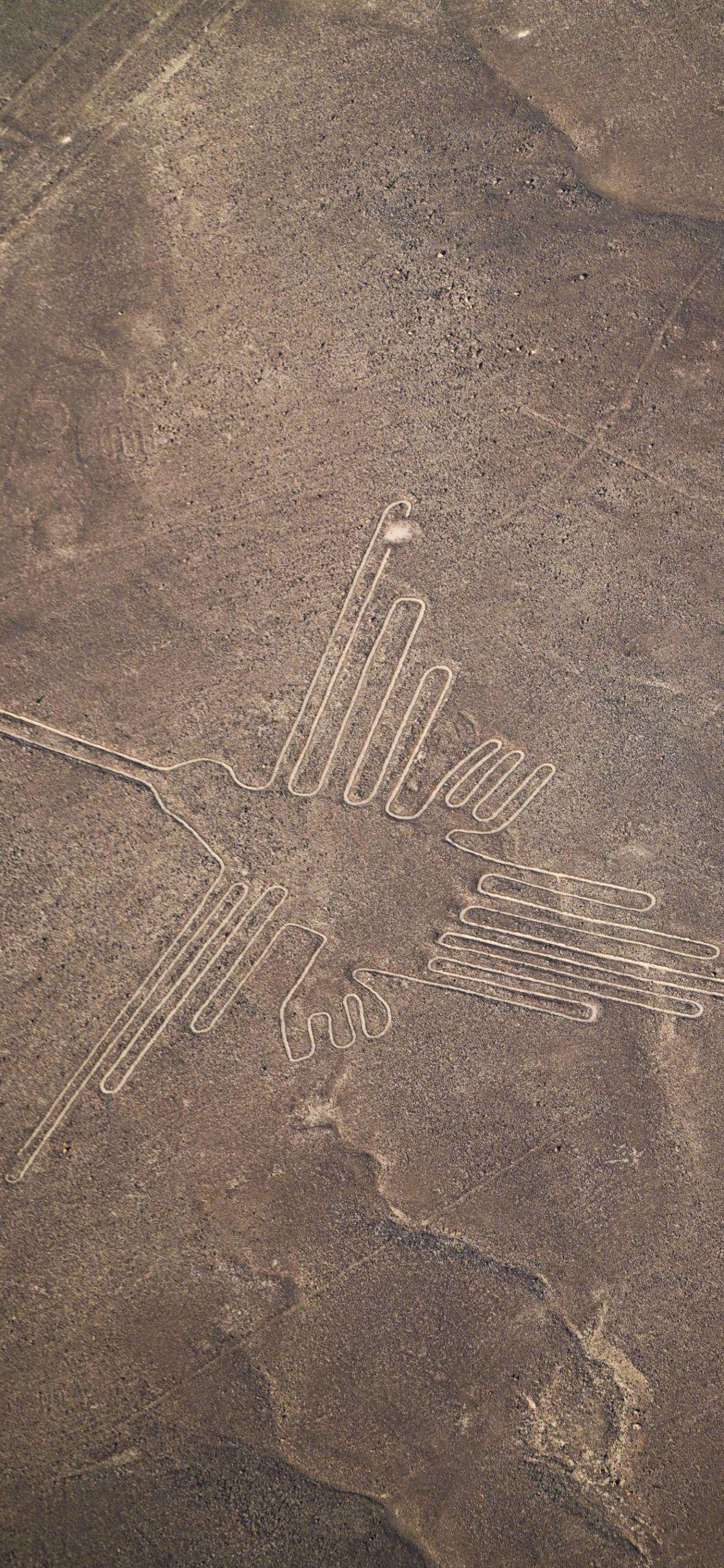 Nazca Wallpapers - Top Free Nazca Backgrounds - WallpaperAccess