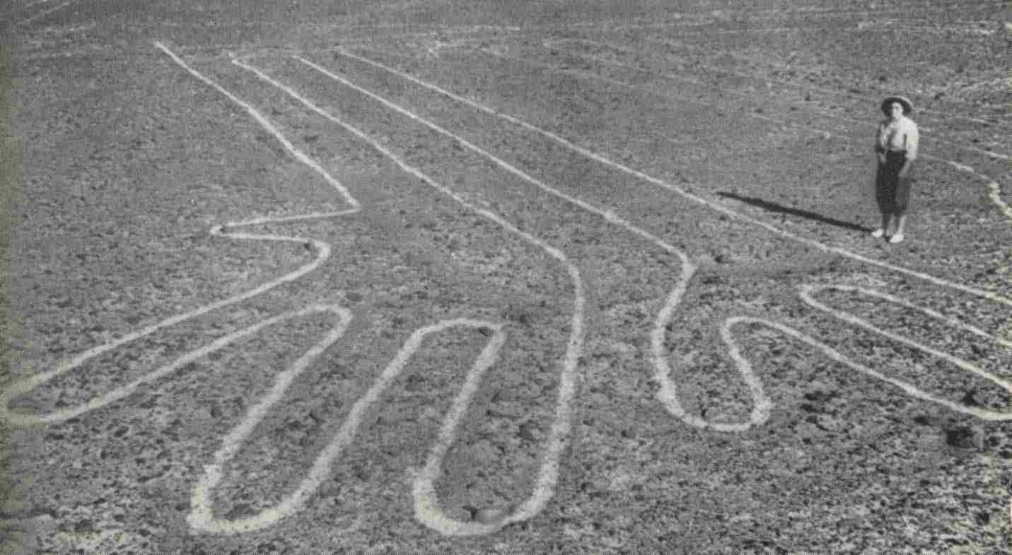 Nazca Wallpapers - Top Free Nazca Backgrounds - WallpaperAccess