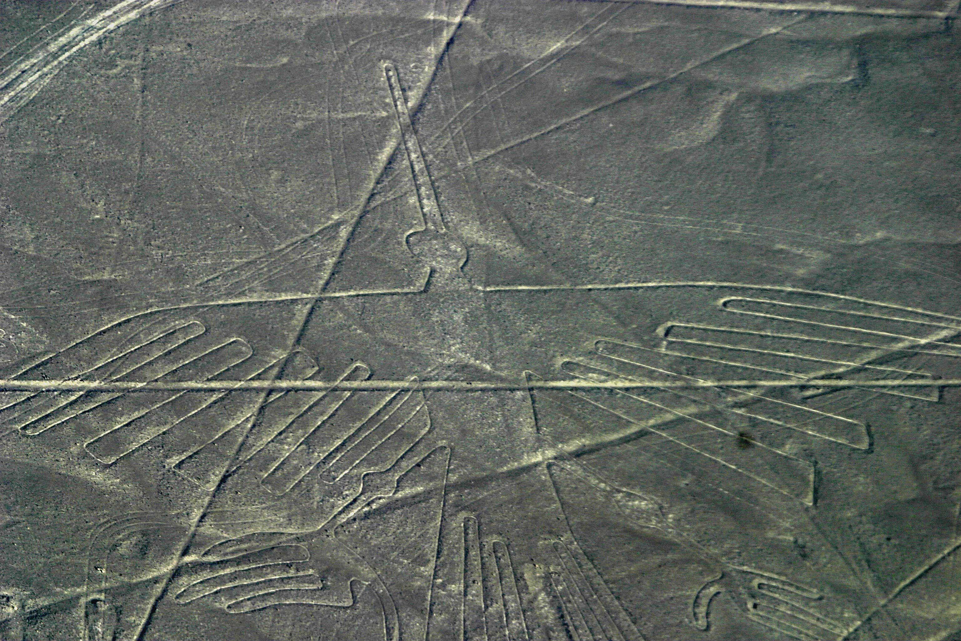 Nazca Wallpapers - Top Free Nazca Backgrounds - WallpaperAccess