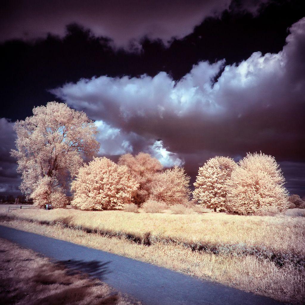 Infrared Landscape Wallpapers - Top Free Infrared Landscape Backgrounds ...