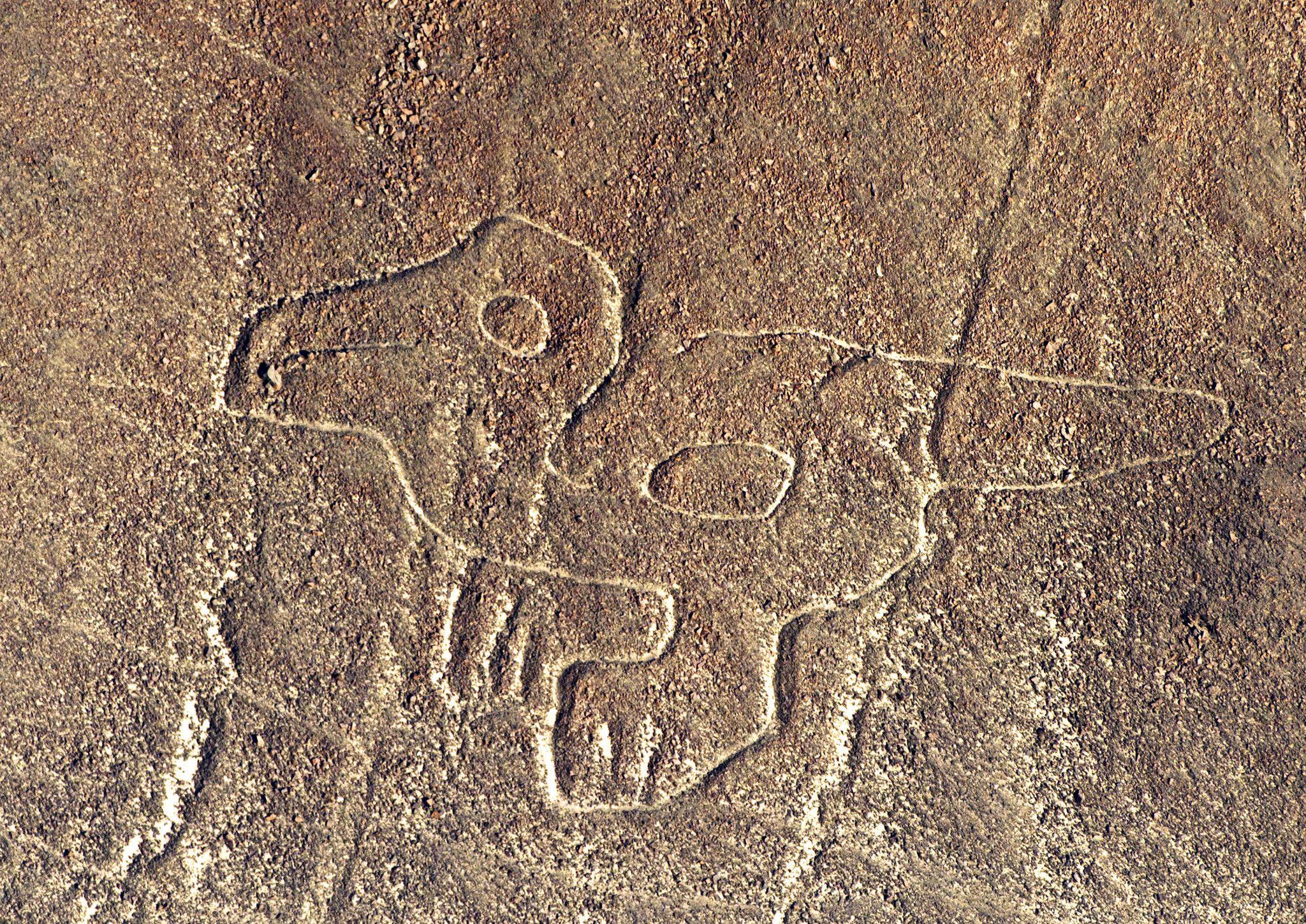 Nazca Wallpapers - Top Free Nazca Backgrounds - WallpaperAccess