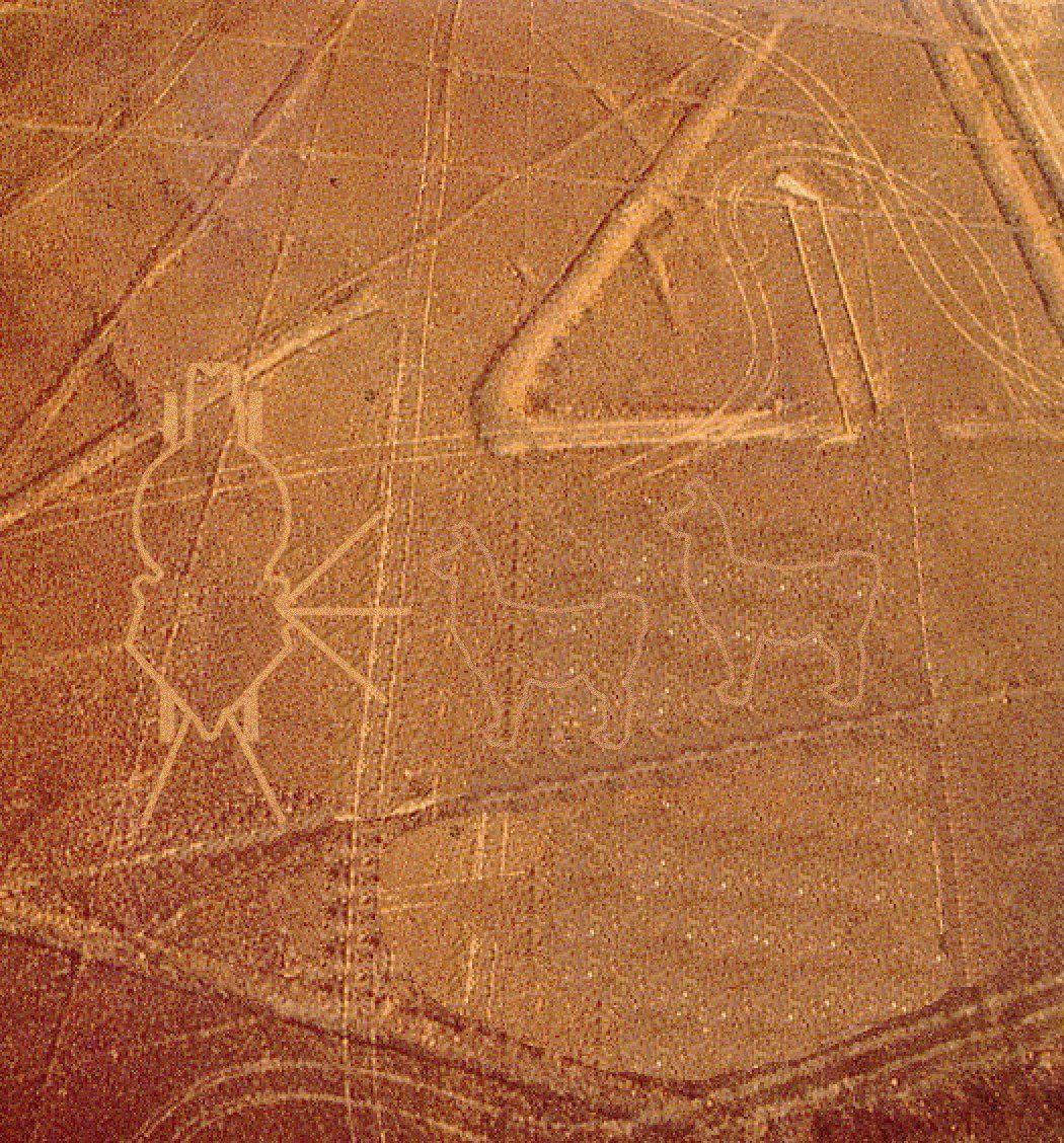 Nazca Wallpapers - Top Free Nazca Backgrounds - WallpaperAccess