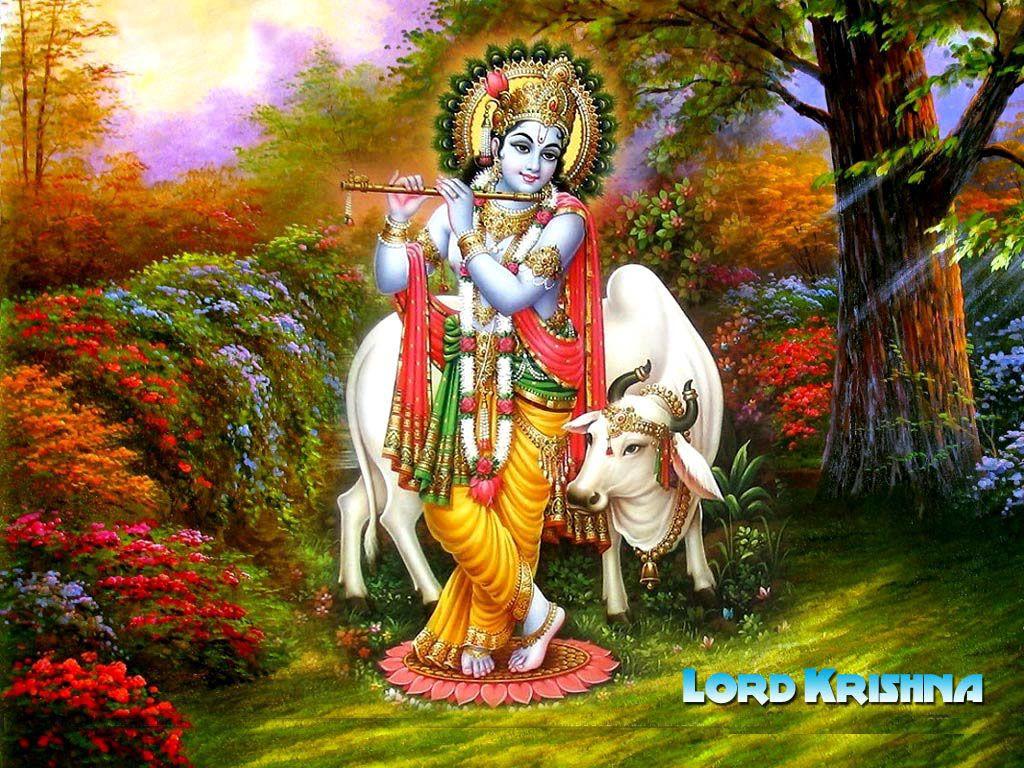 Baal Krishna Wallpapers - Top Free Baal Krishna Backgrounds ...