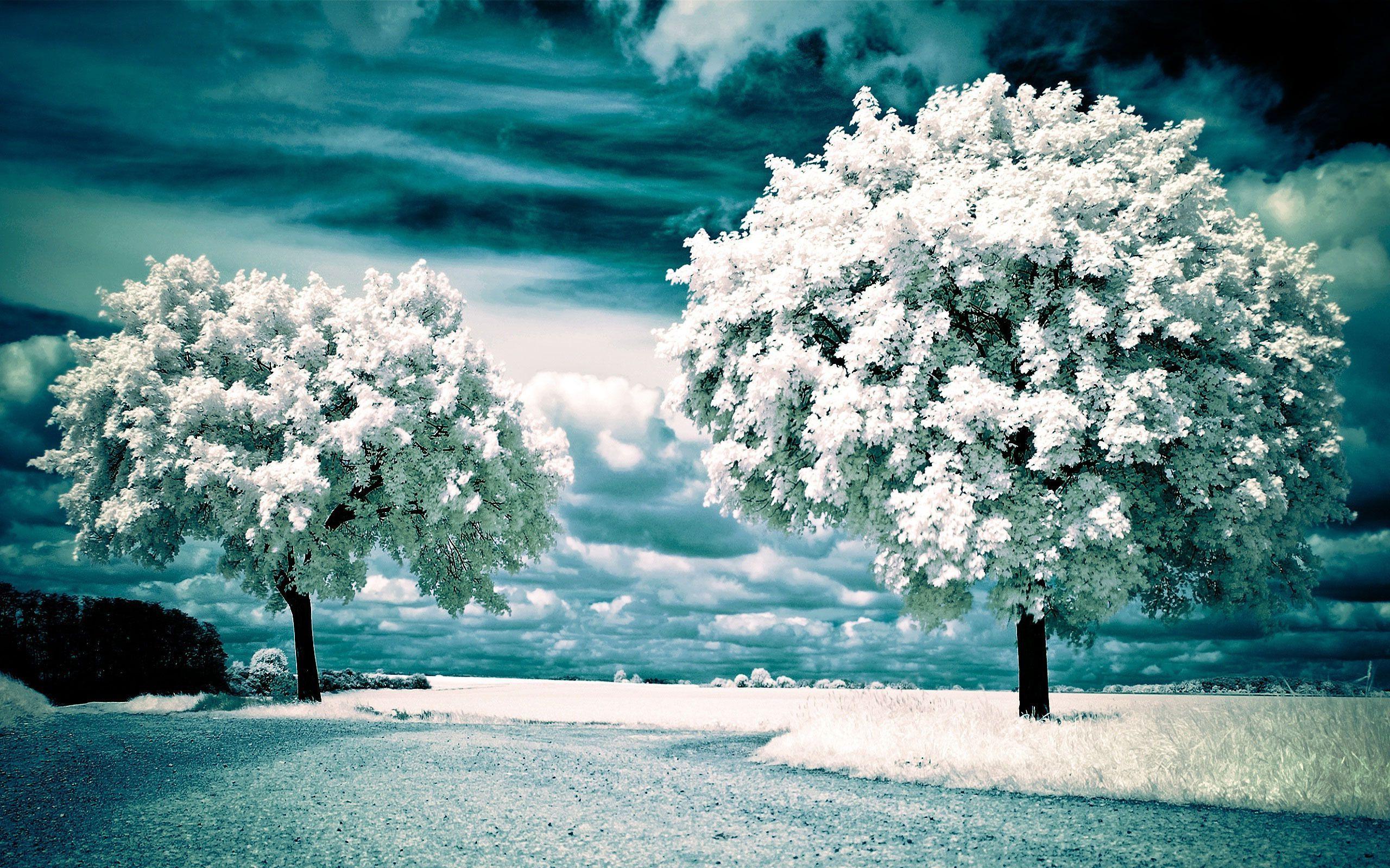 Infrared Landscape Wallpapers - Top Free Infrared Landscape Backgrounds ...