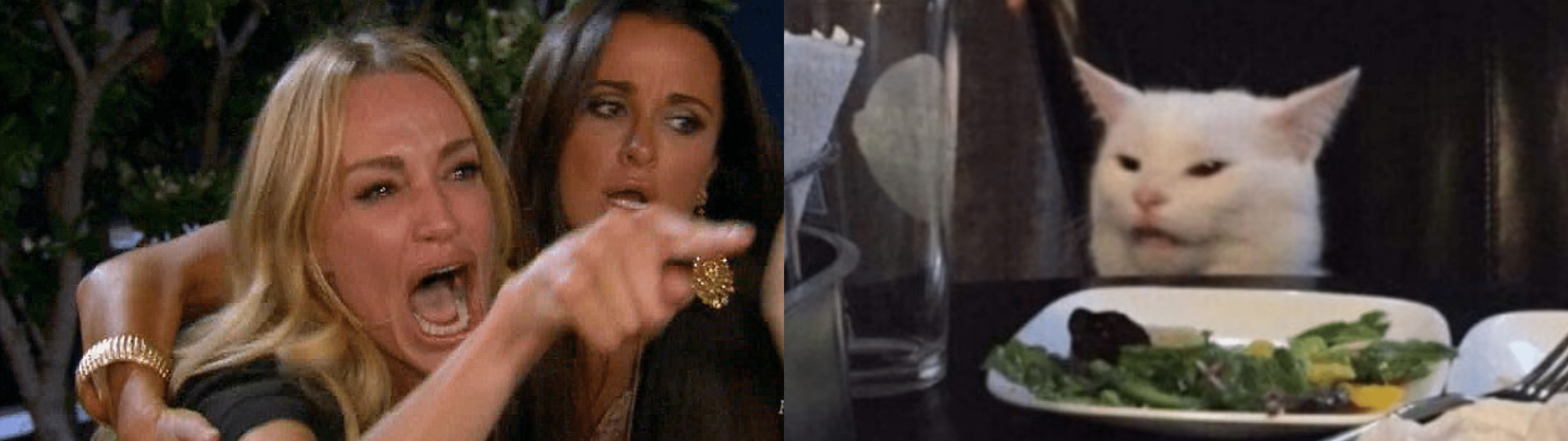 Dual Monitor Cat Wallpapers - Top Free Dual Monitor Cat Backgrounds ...