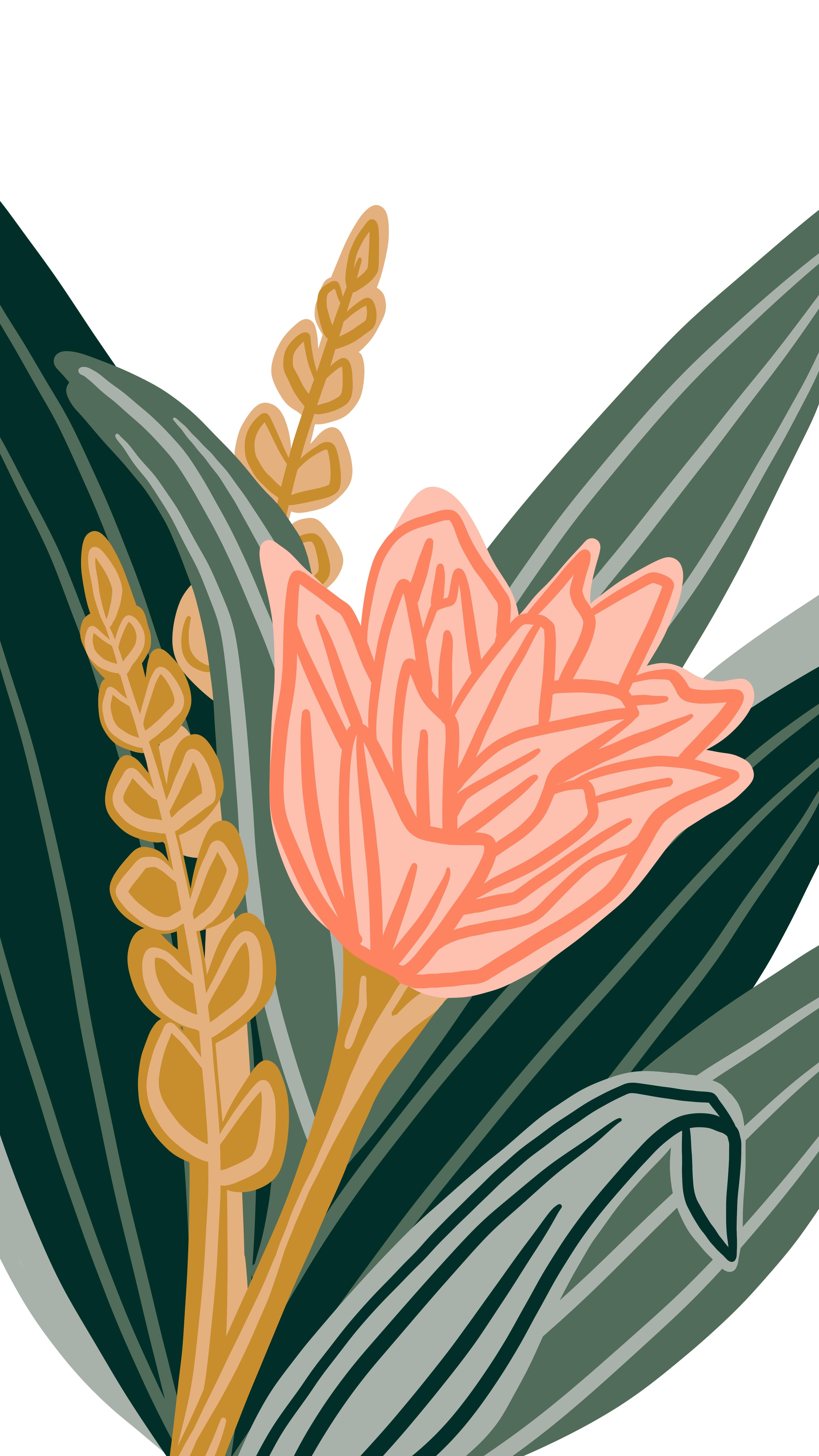 Procreate Wallpapers - Top Free Procreate Backgrounds - WallpaperAccess