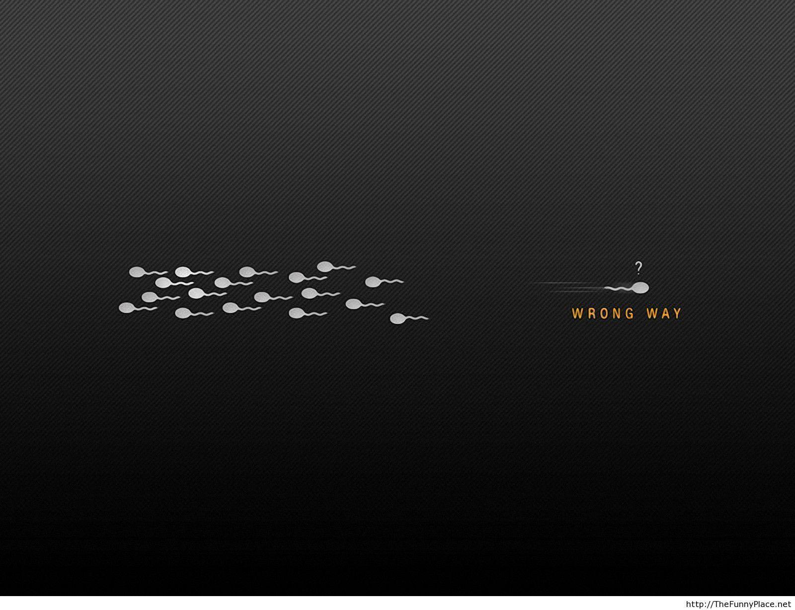 Funny Words Wallpapers - Top Free Funny Words Backgrounds - WallpaperAccess