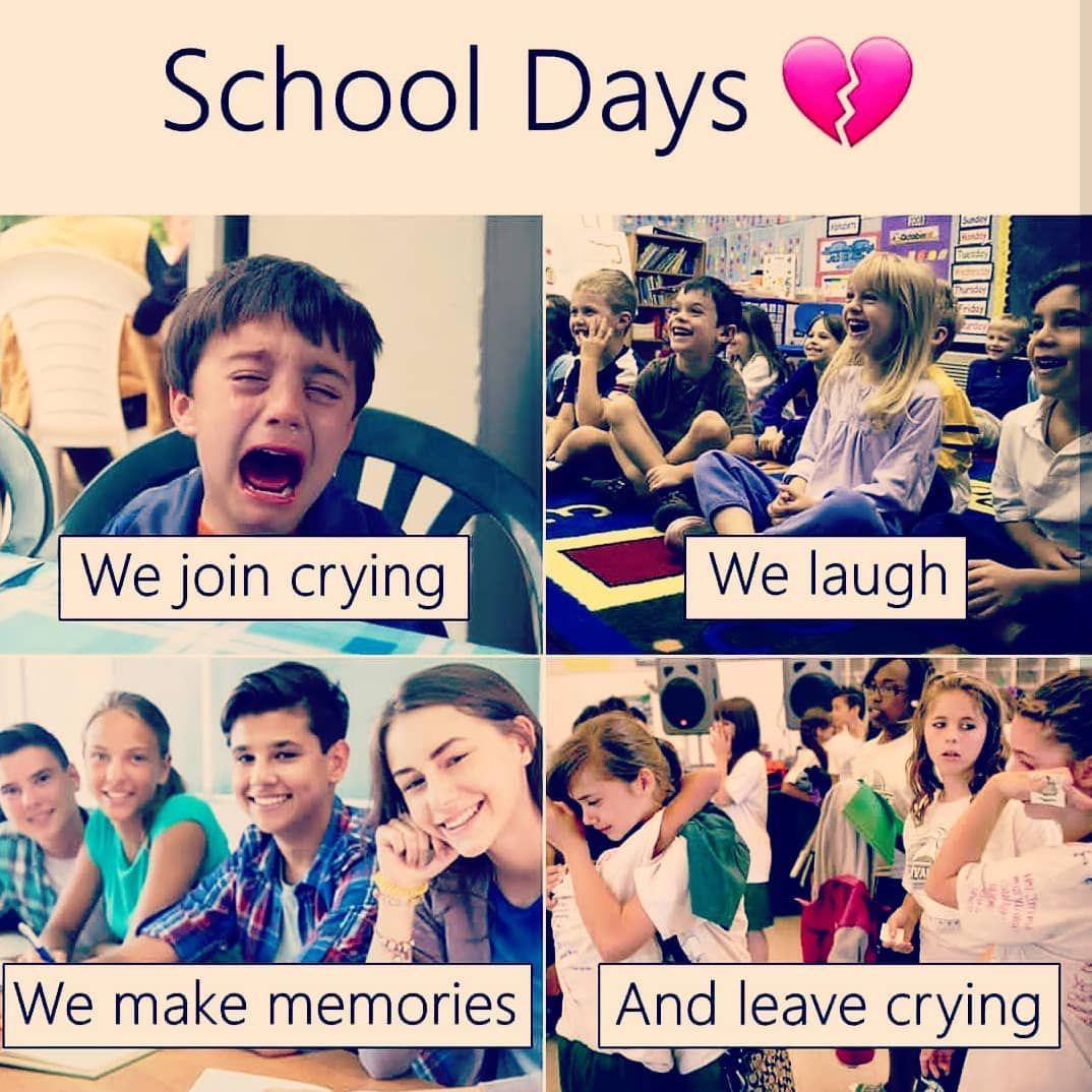 School Memes Wallpapers - Top Free School Memes Backgrounds ...