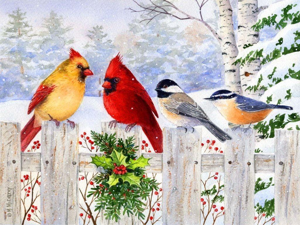 Christmas Birds Wallpapers - Top Free Christmas Birds Backgrounds ...