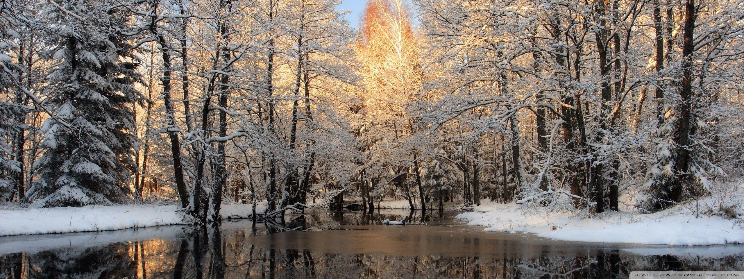 Winter Dual Monitor Wallpapers - Top Free Winter Dual Monitor ...