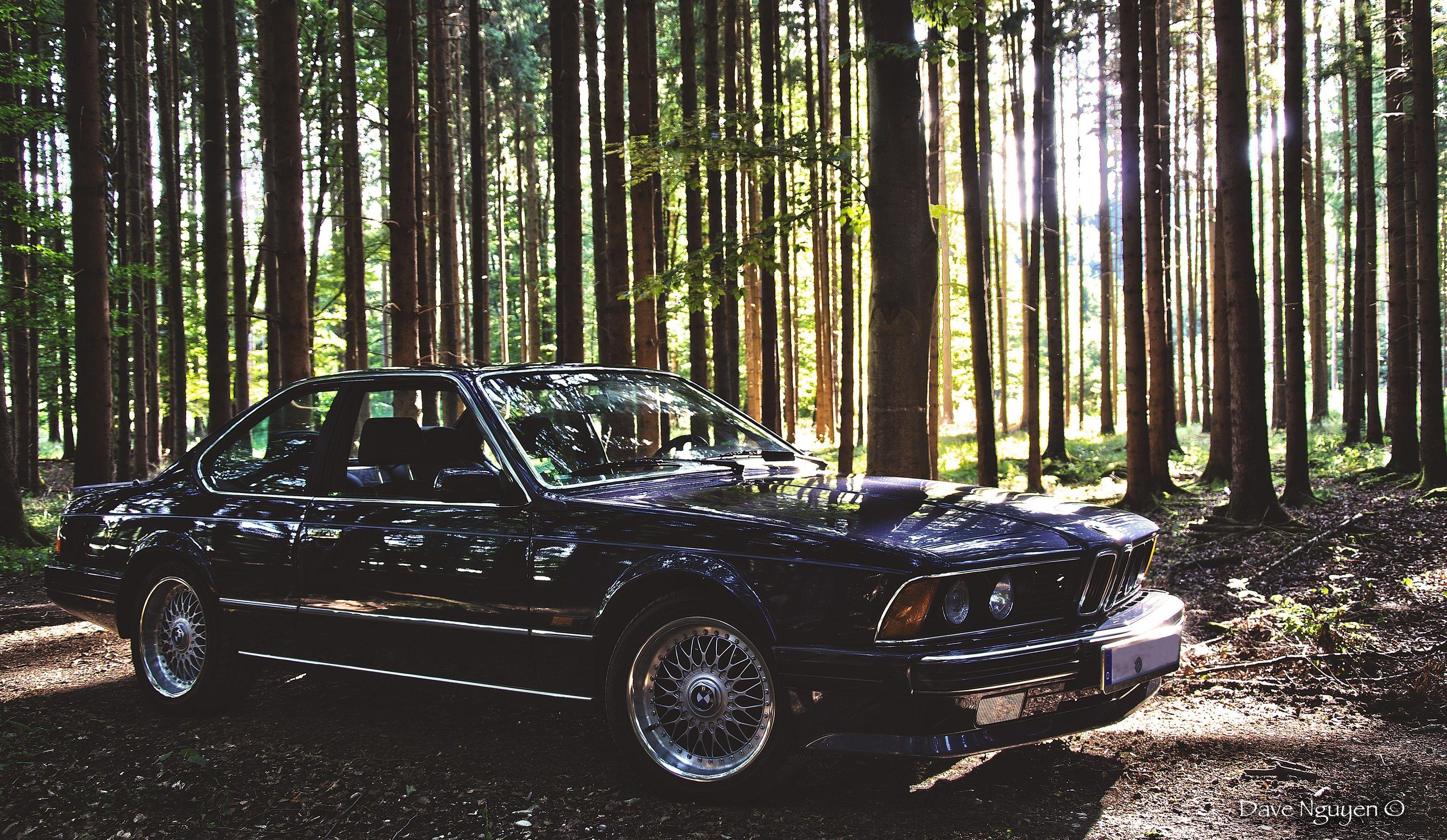 BMW E24 Wallpapers - Top Free BMW E24 Backgrounds - WallpaperAccess